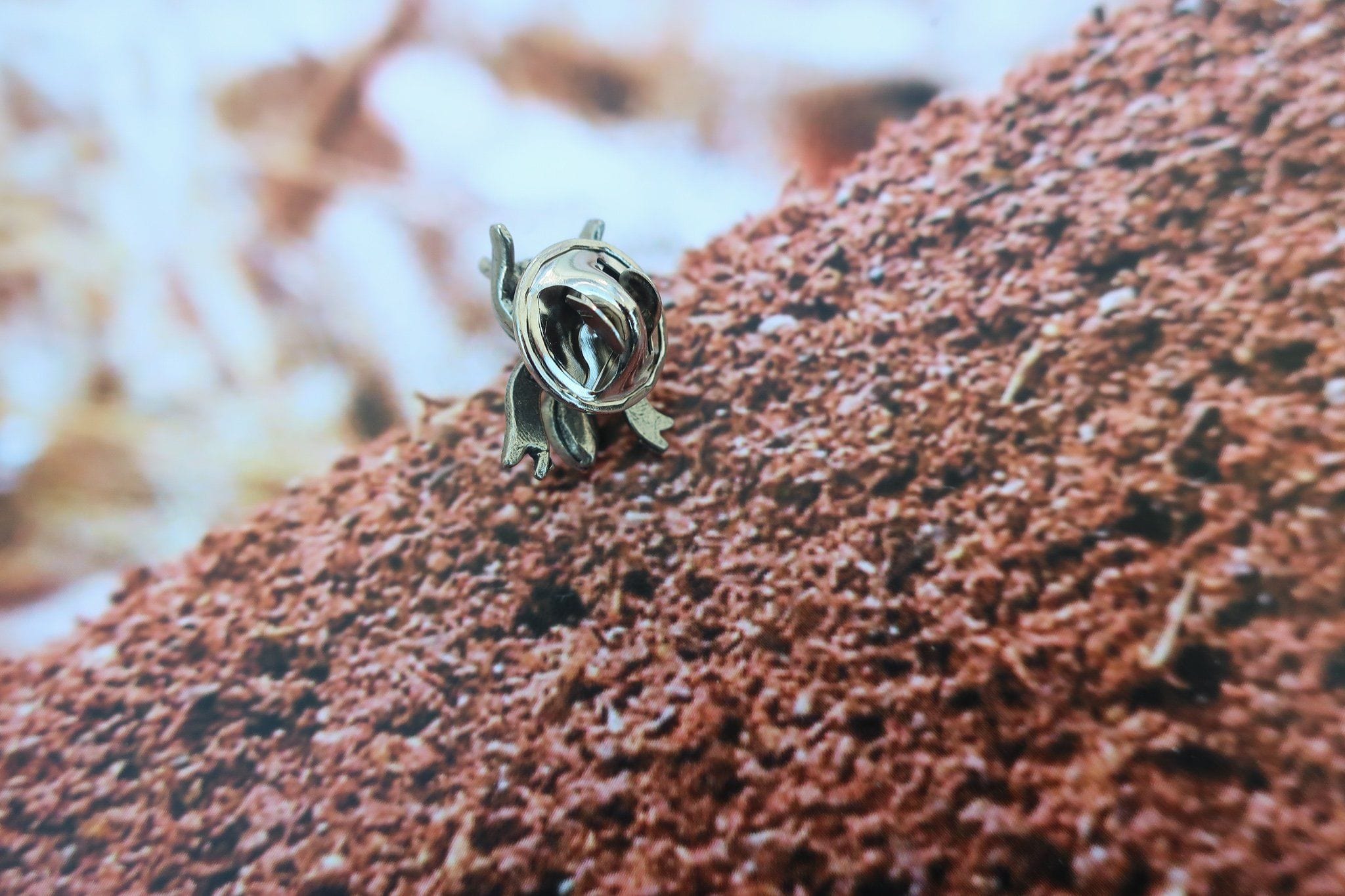 Ant Lapel Pin - Fashion for Nature Lovers | Lapel Pin Planet ...