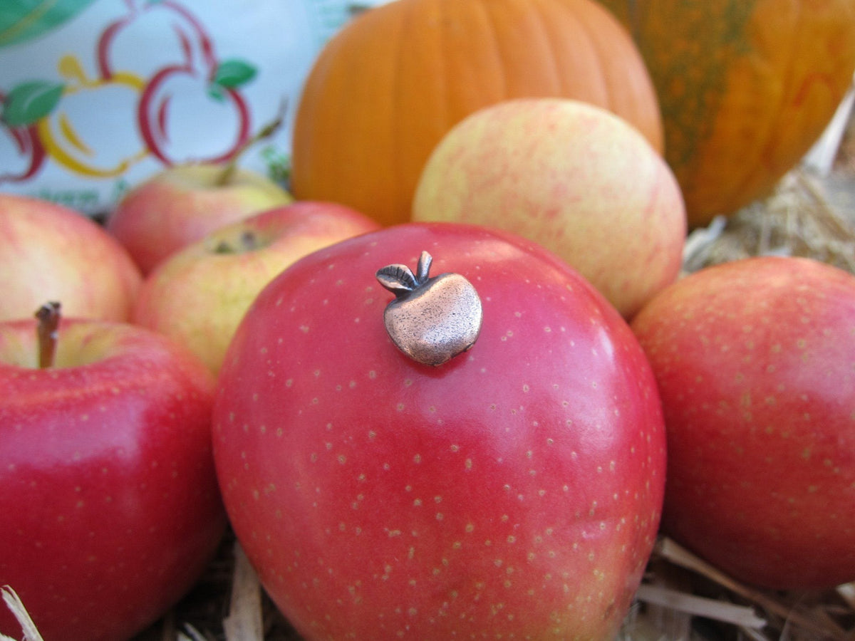Apple Copper Lapel Pin – lapelpinplanet