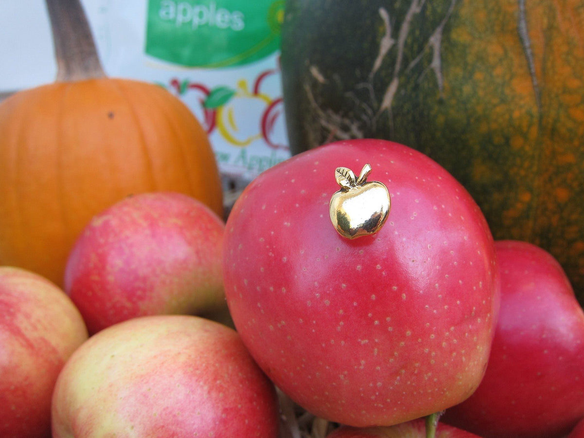 Gold Apple Lapel Pin - Teacher's Pet Style | Lapel Pin Planet ...