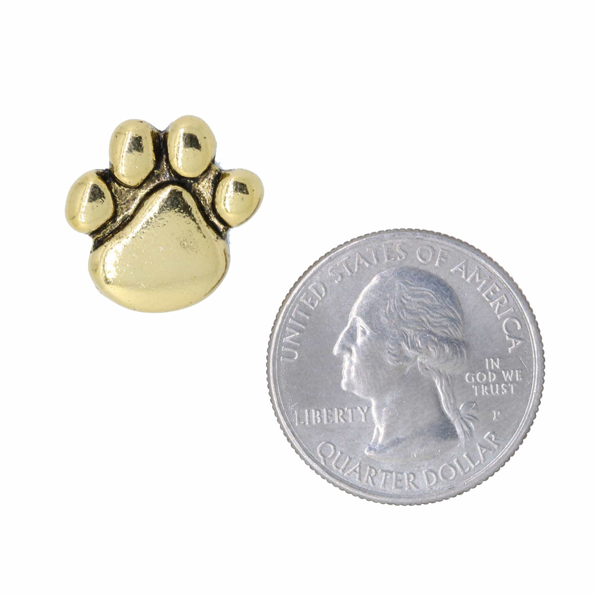 Paw Print Gold Lapel Pin – lapelpinplanet