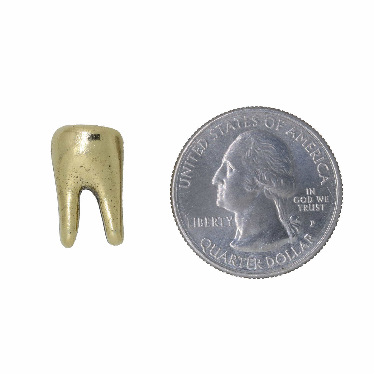 Tooth Gold Lapel Pin – lapelpinplanet