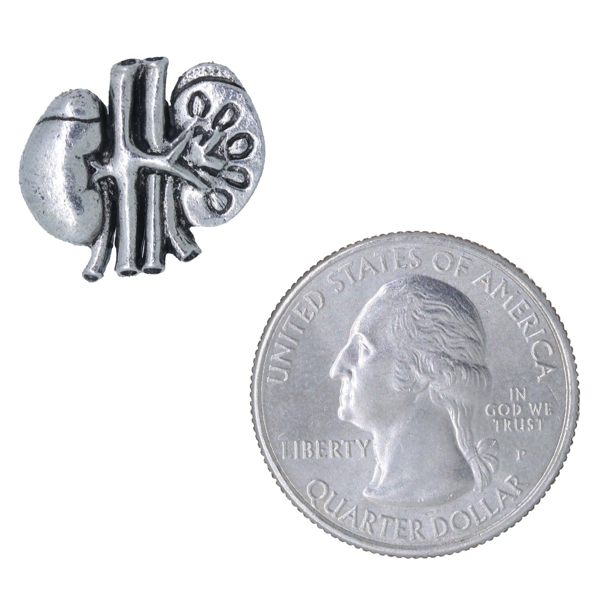 Kidneys Design Lapel Pin by Jim Clift – Lapel Pin Planet – lapelpinplanet