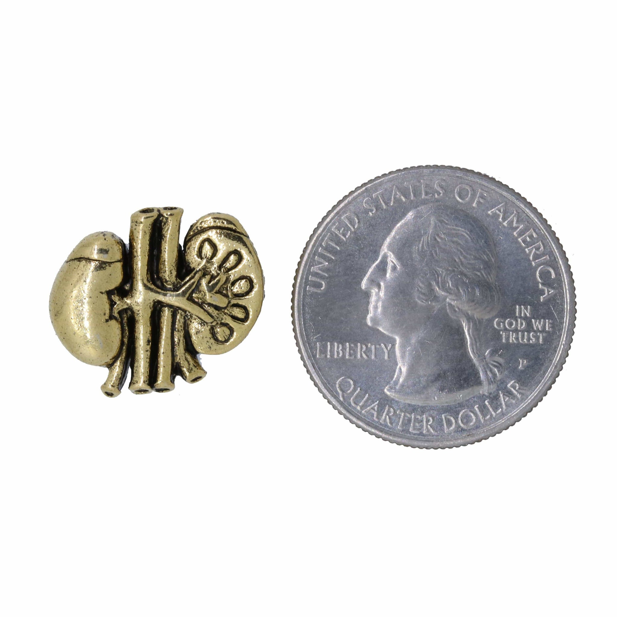 Kidney Gold Lapel Pin – lapelpinplanet