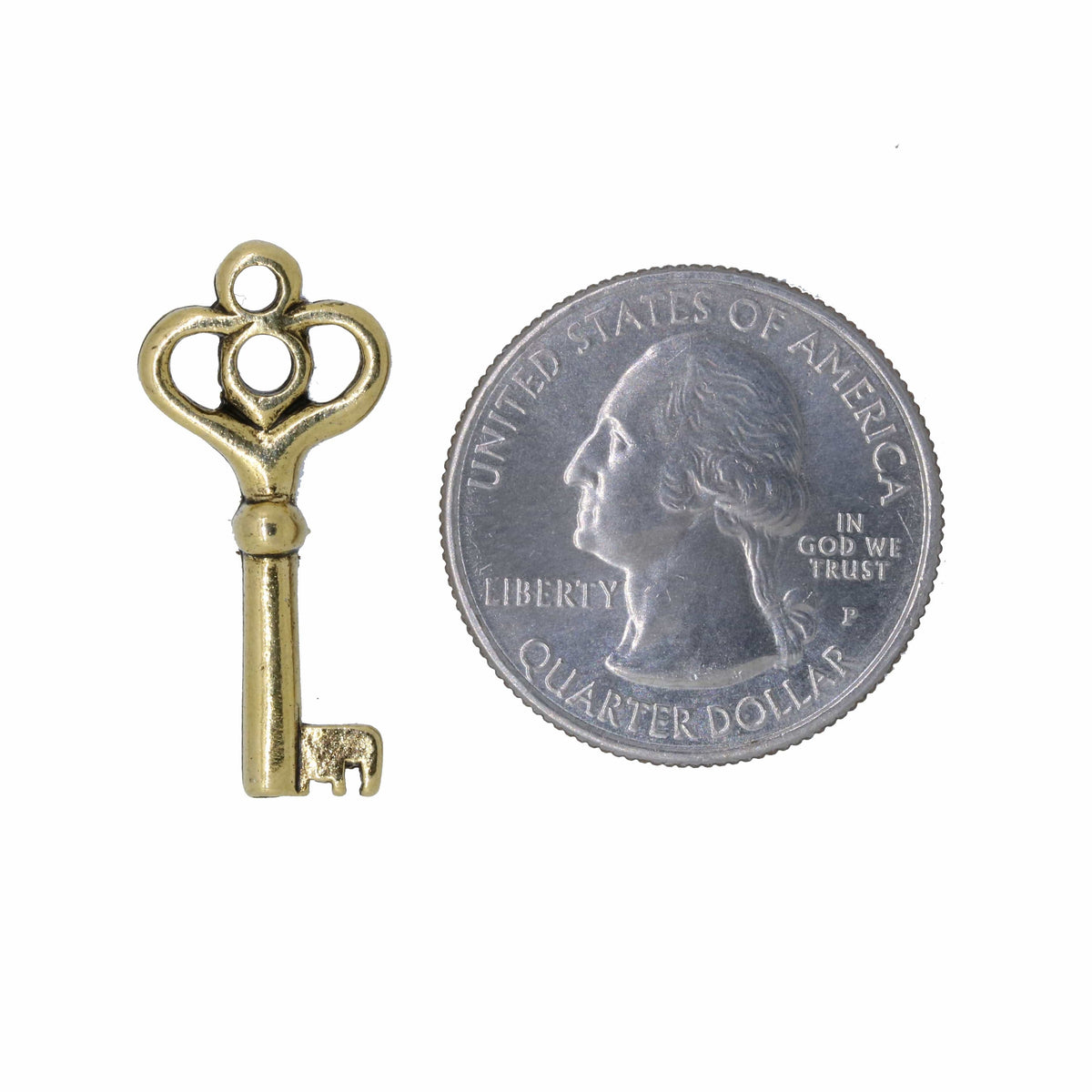 Skeleton Key Gold Lapel Pin – lapelpinplanet