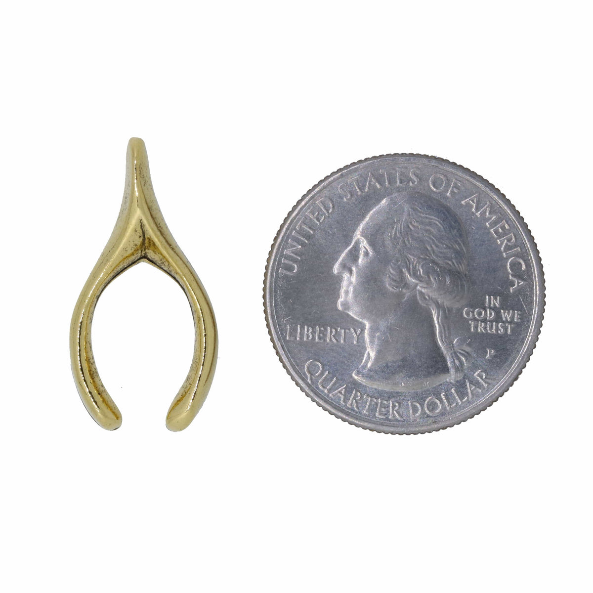 Wishbone Gold Lapel Pin – lapelpinplanet