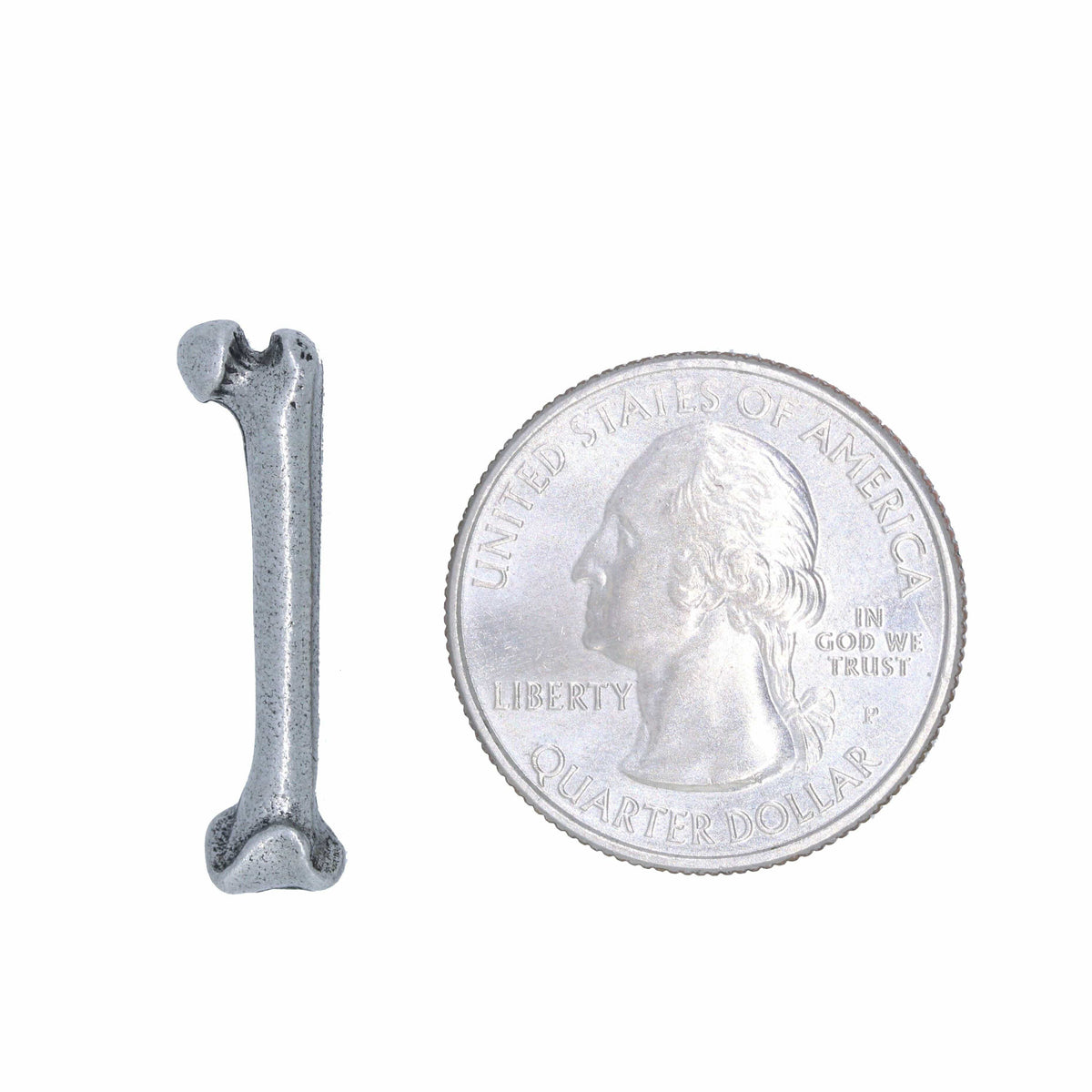 Femur Bone Lapel Pin – lapelpinplanet