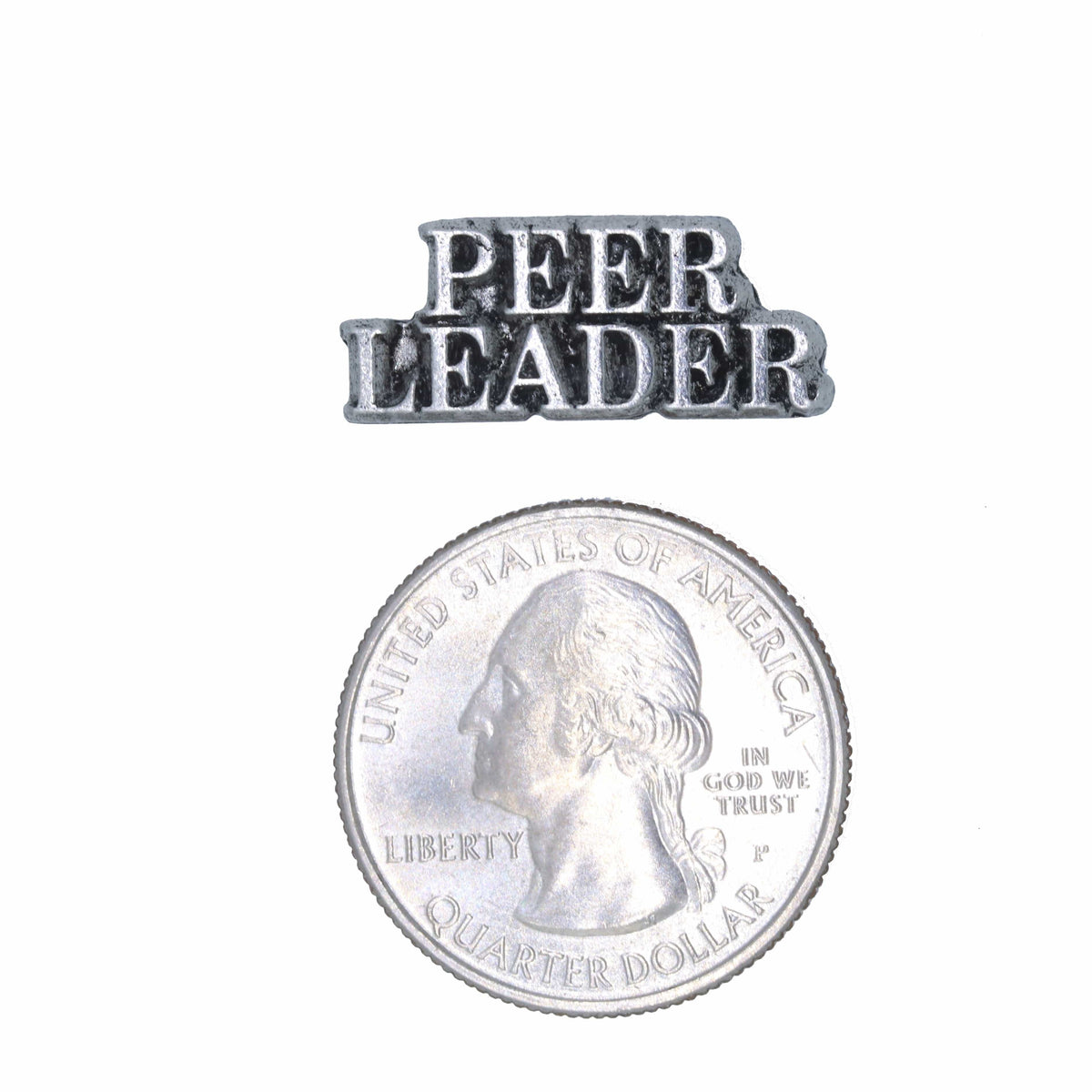 Peer Leader Lapel Pin – lapelpinplanet