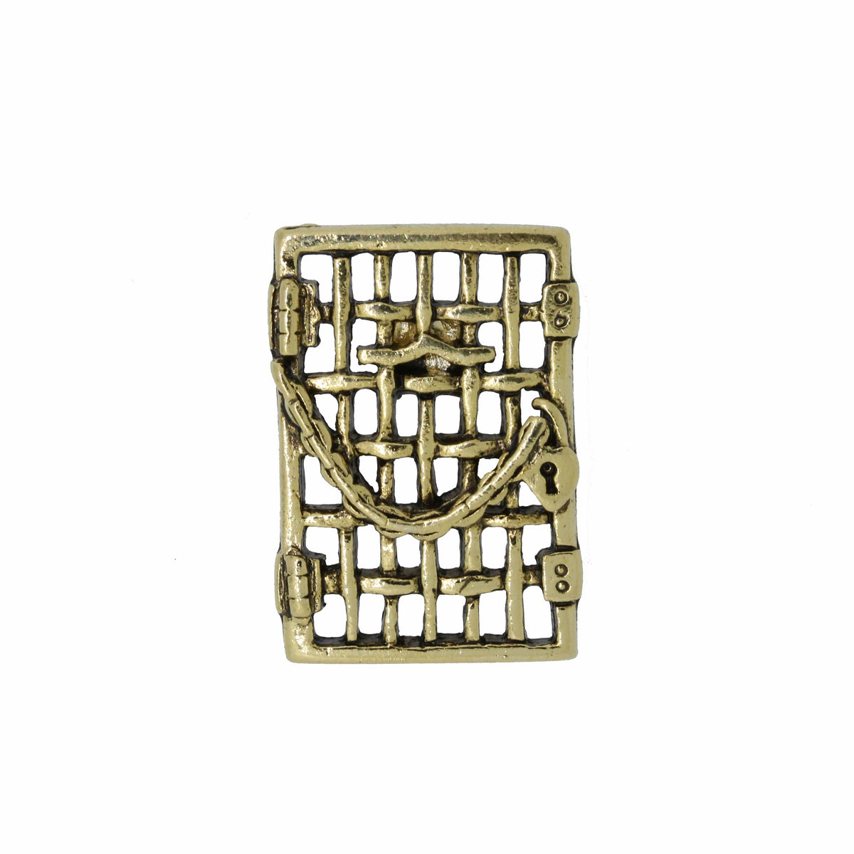 Suffragette Jail Door Gold Lapel Pin – lapelpinplanet