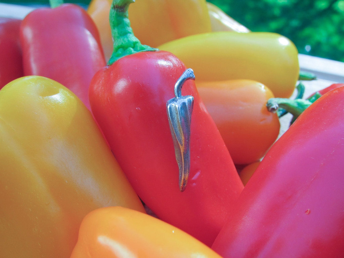 Chili Pepper Lapel Pin - Spice Up Your Style | Lapel Pin Planet ...