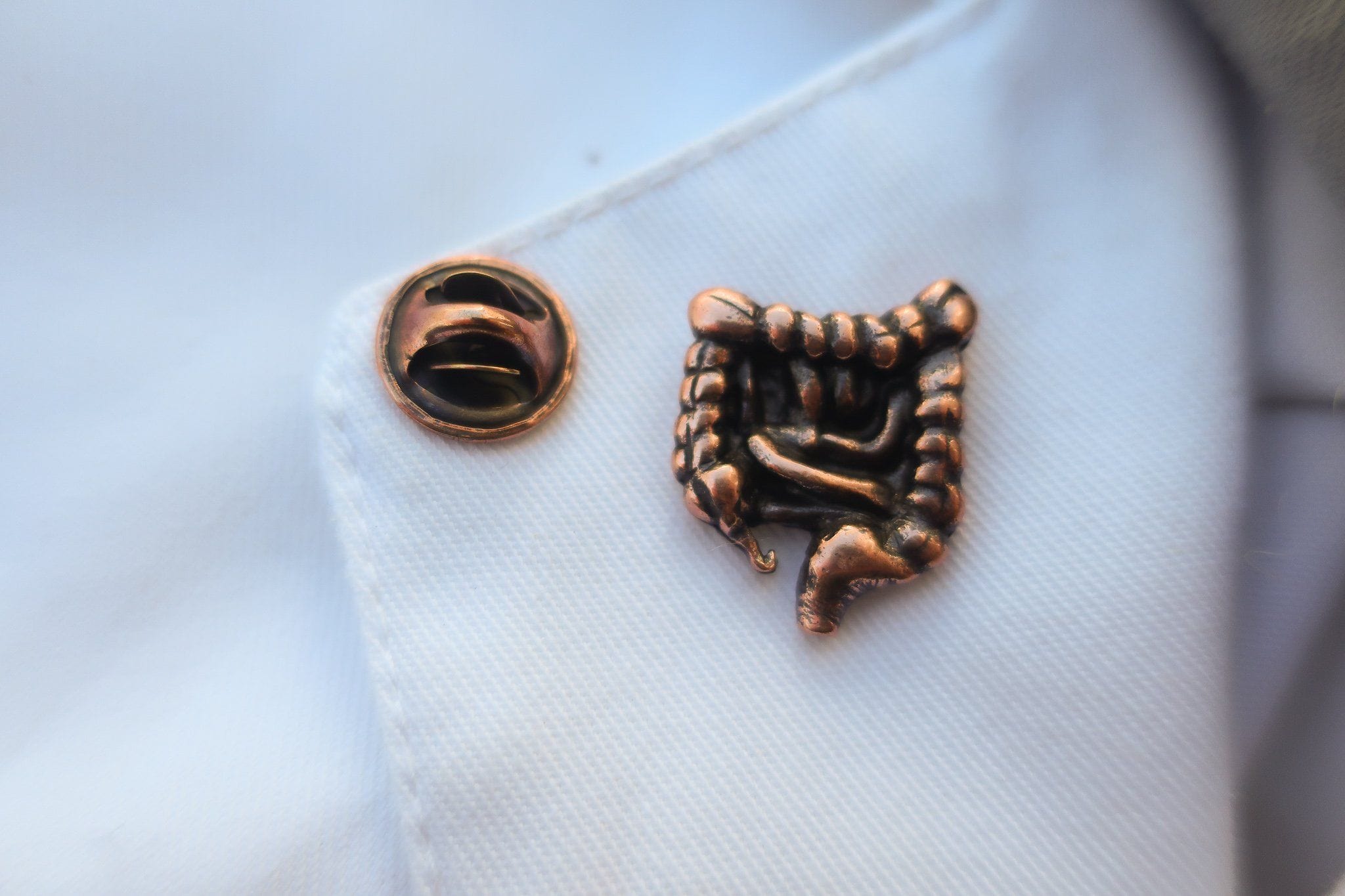 Intestines Copper Lapel Pin – lapelpinplanet