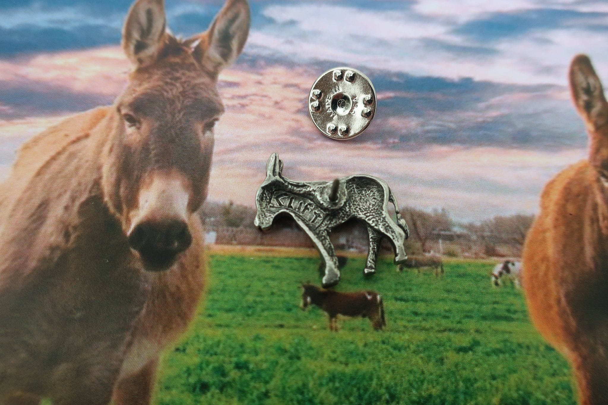 Donkey Lapel Pin – lapelpinplanet