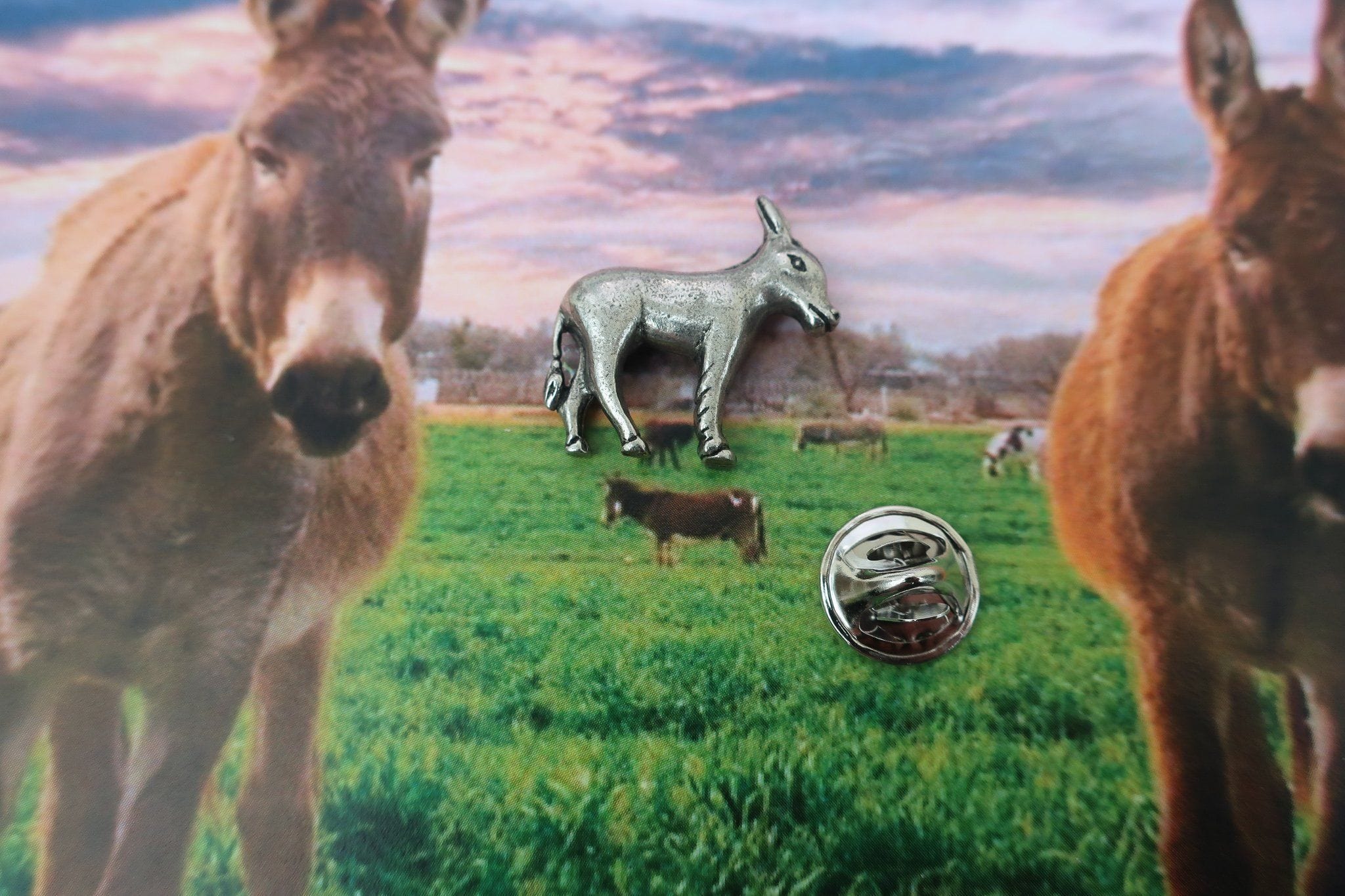 Donkey Lapel Pin – lapelpinplanet