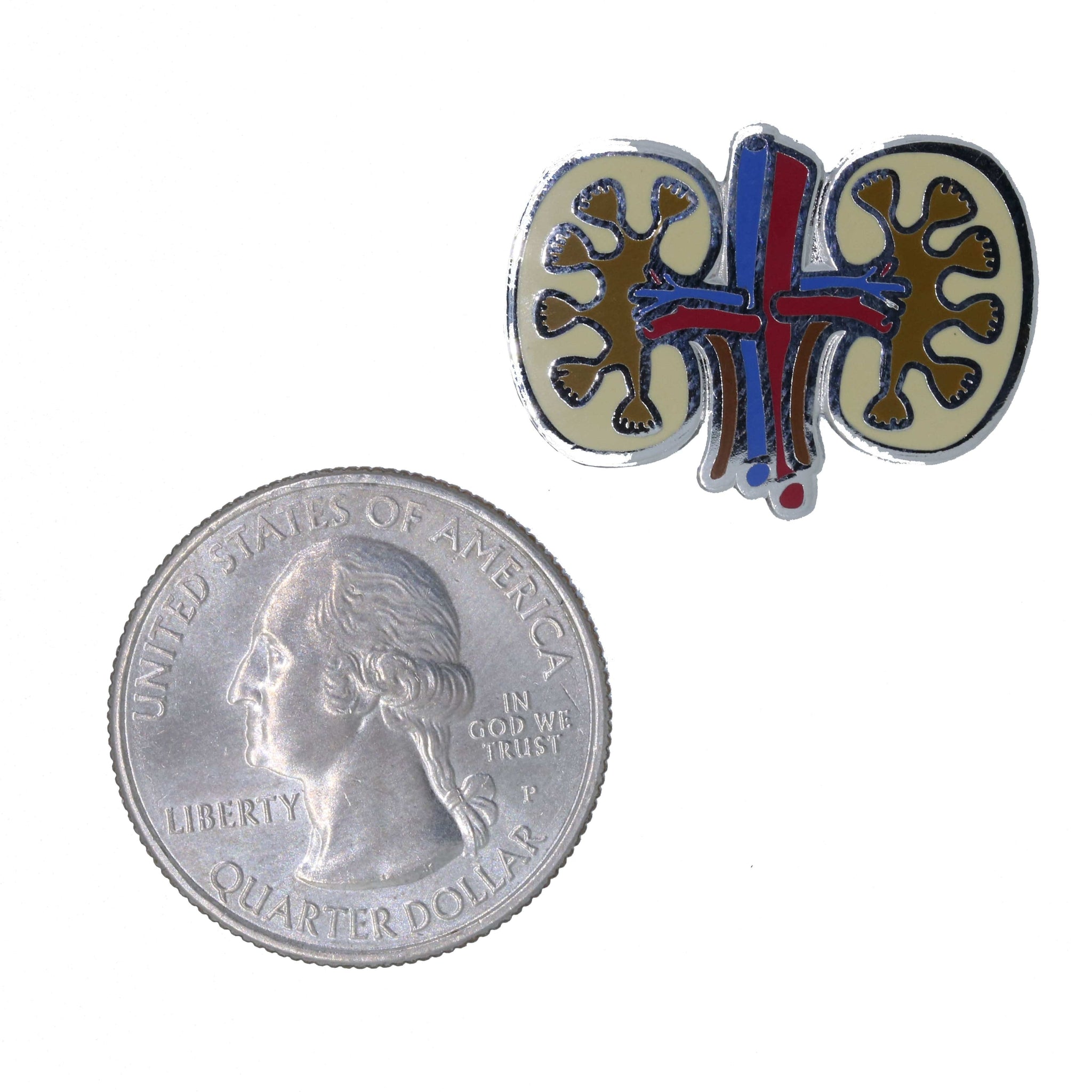 Kidneys Enamel Pin – lapelpinplanet