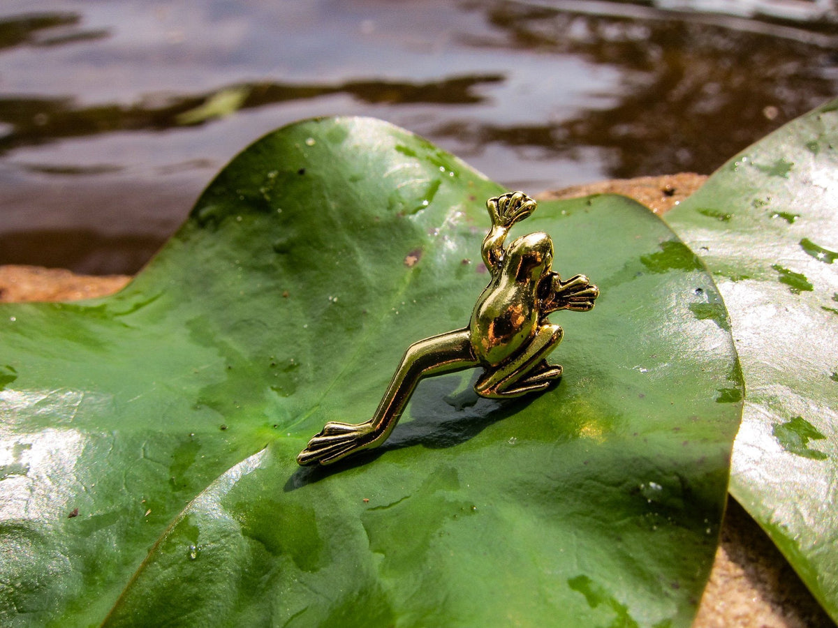 Frog Gold Lapel Pin – lapelpinplanet