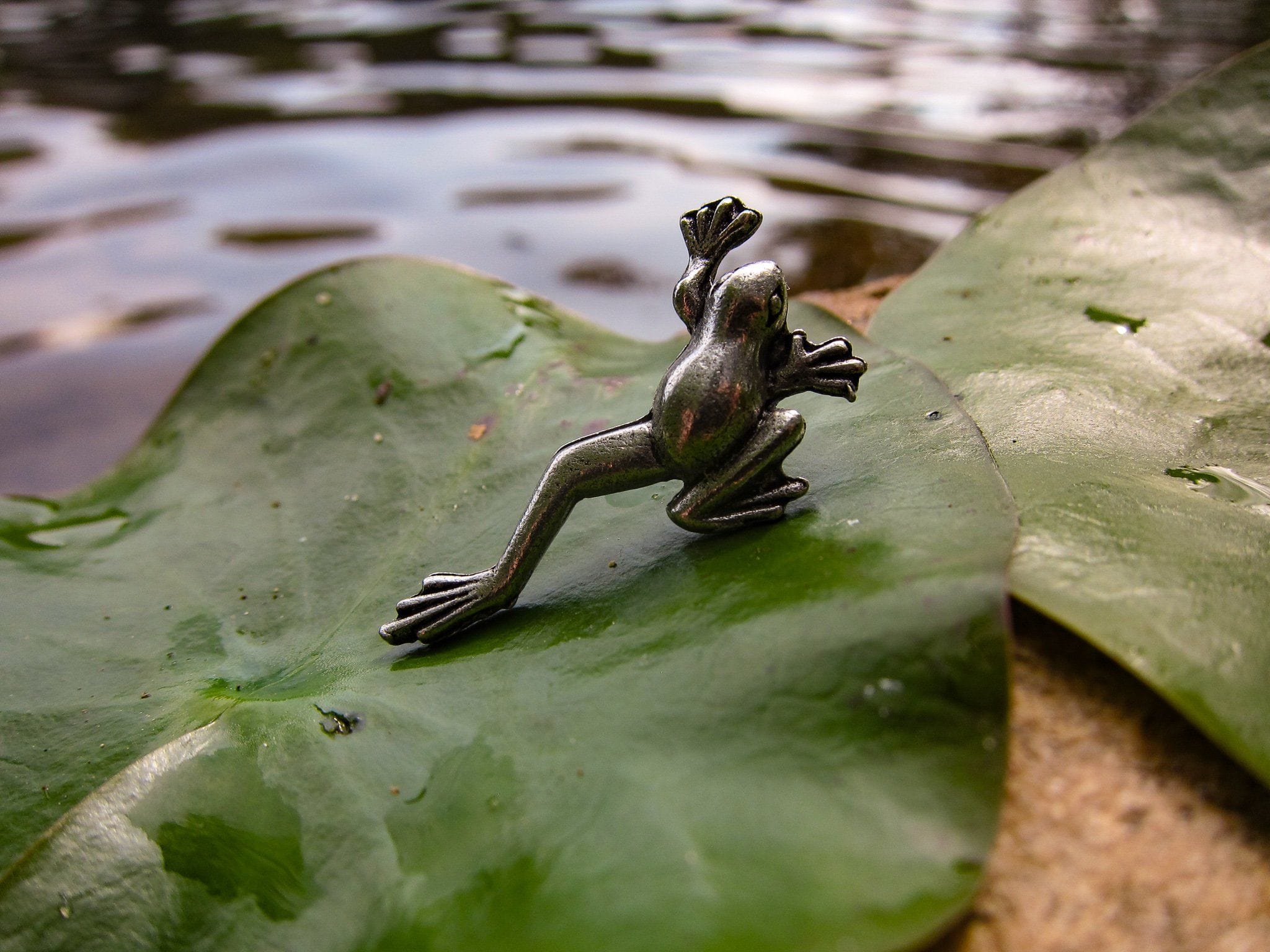 Frog Lapel Pin – lapelpinplanet