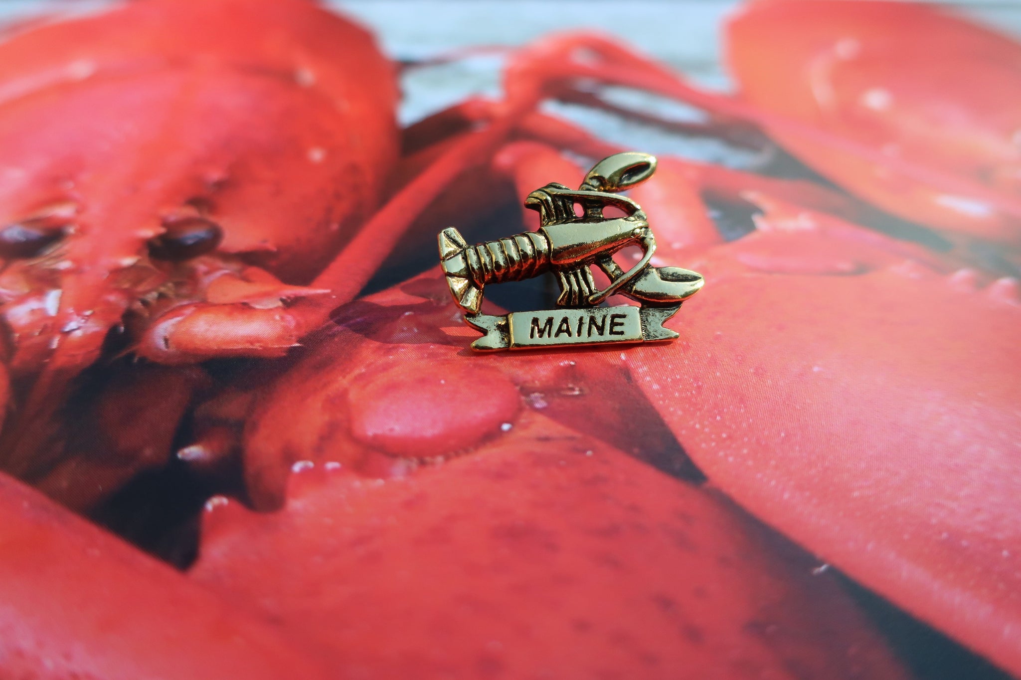 Maine Lobster Gold Lapel Pin – lapelpinplanet