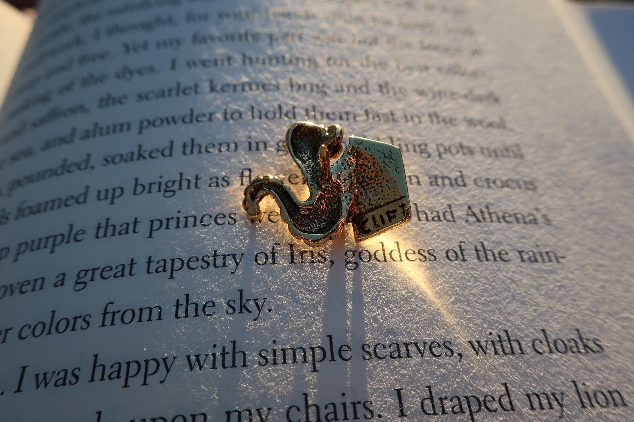 Bookworm Gold Lapel Pin - Perfect for Book Lovers | Lapel Pin Planet ...