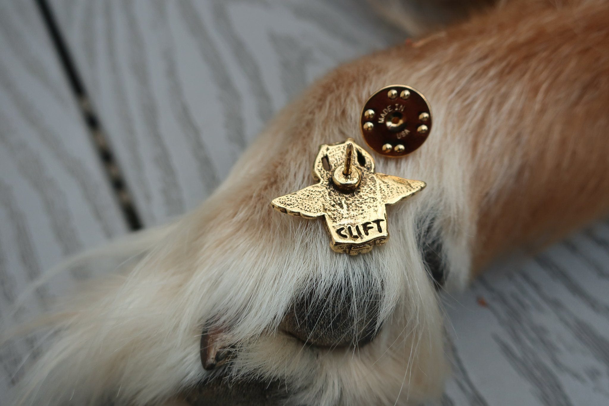 Dog Angel Gold Lapel Pin – lapelpinplanet