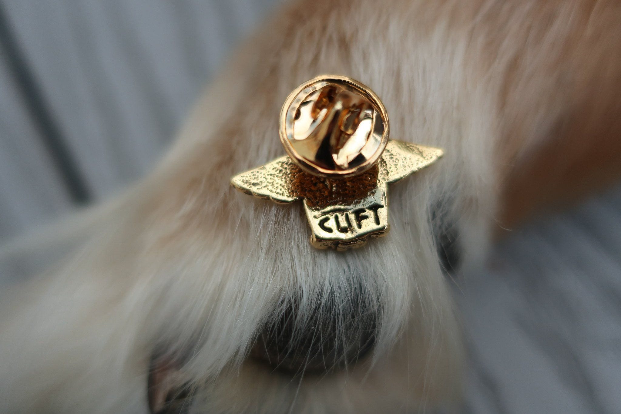 Dog Angel Gold Lapel Pin – lapelpinplanet