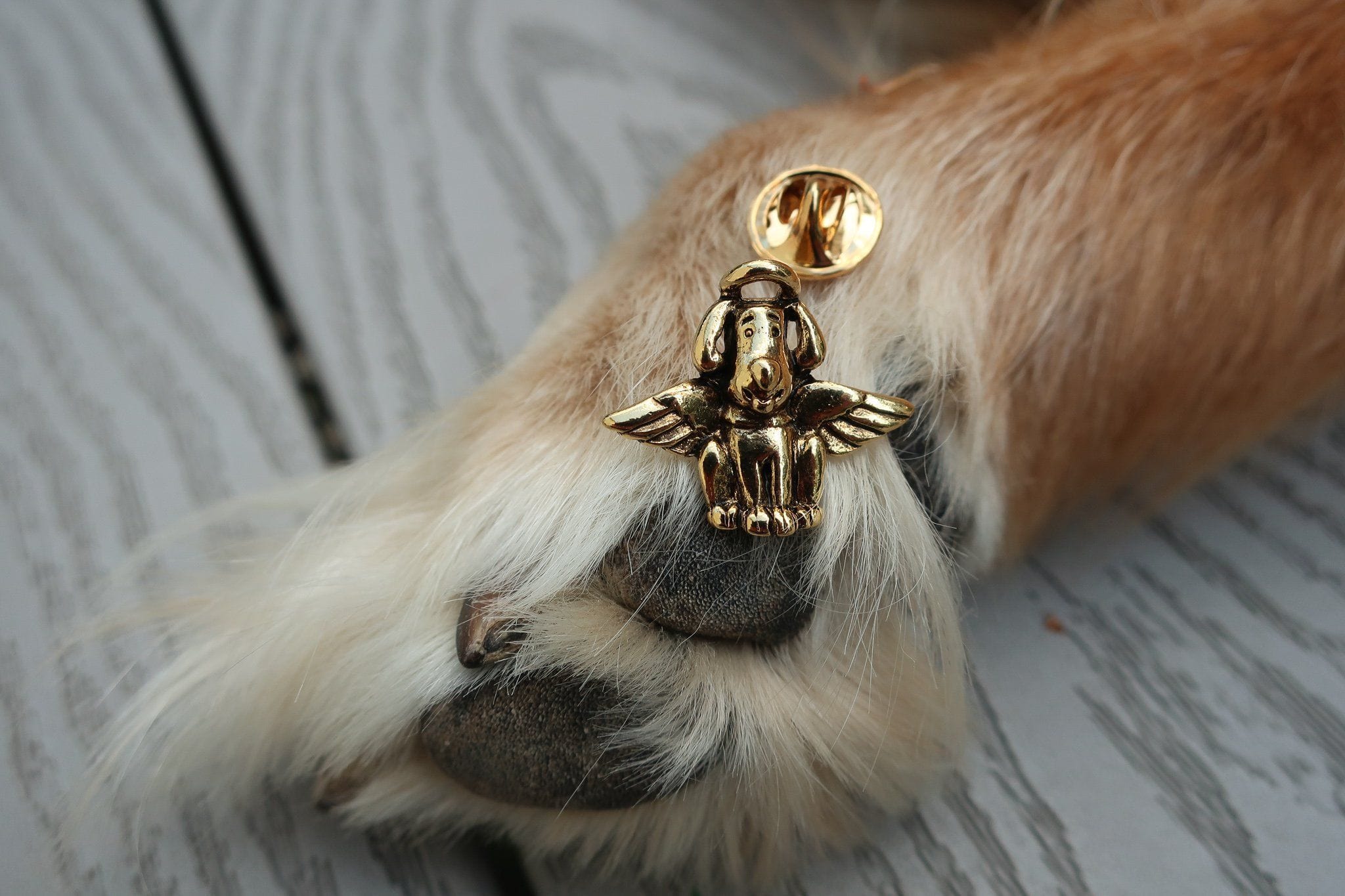 Dog Angel Gold Lapel Pin – lapelpinplanet