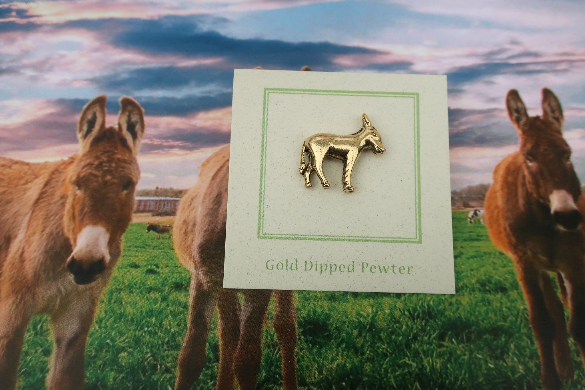 Donkey Gold Lapel Pin – lapelpinplanet