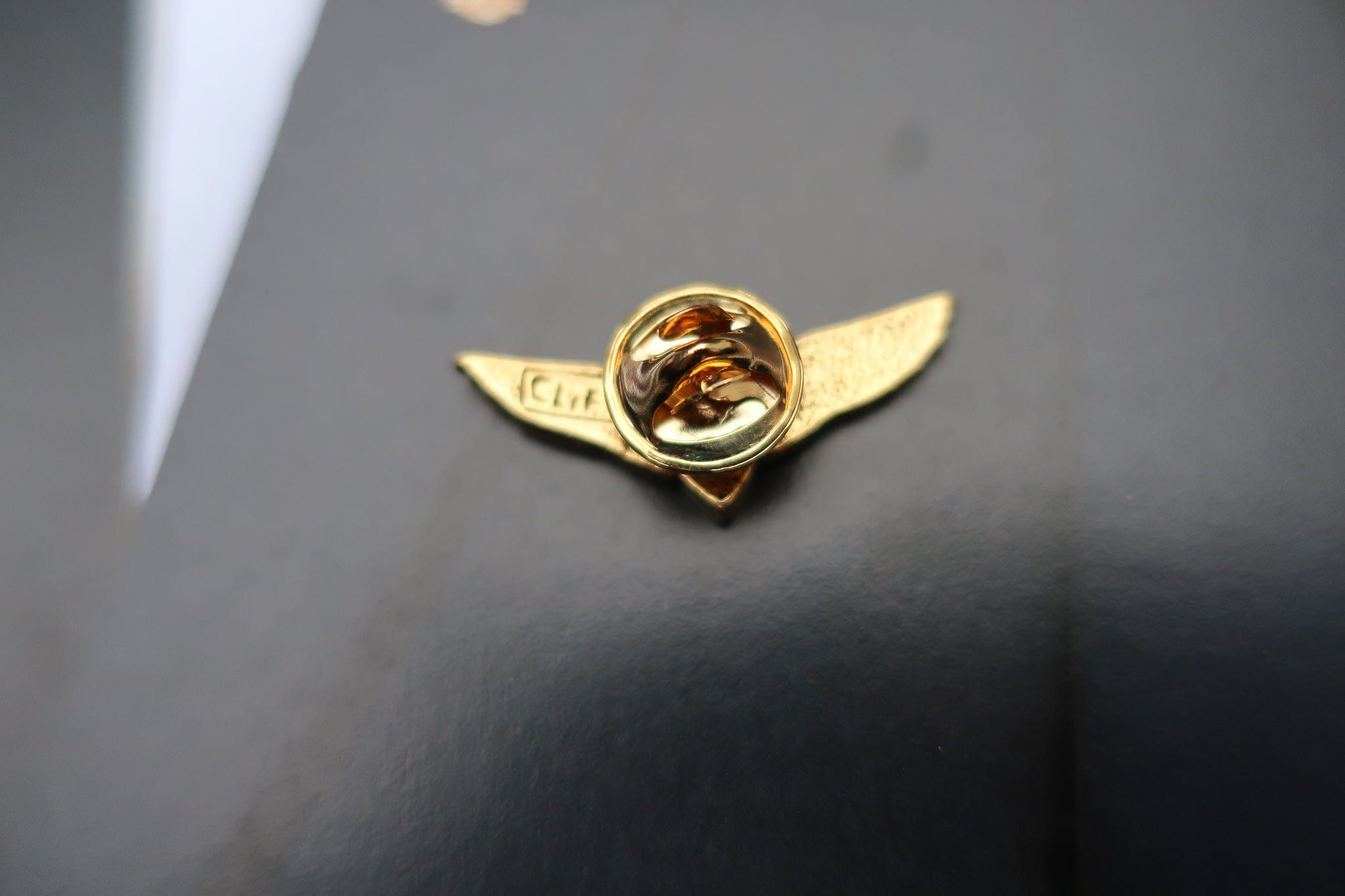 Pilot Wings Gold Lapel Pin – lapelpinplanet