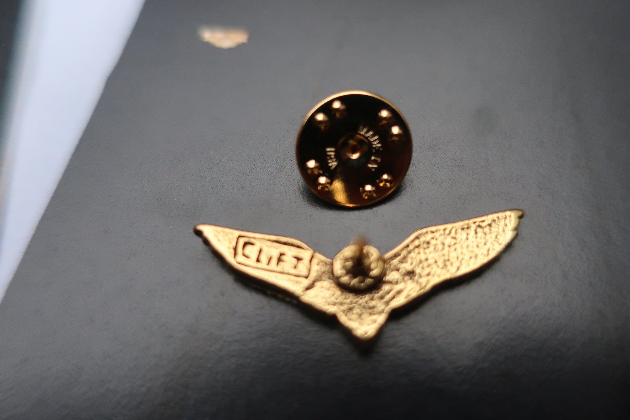 Pilot Wings Gold Lapel Pin – lapelpinplanet