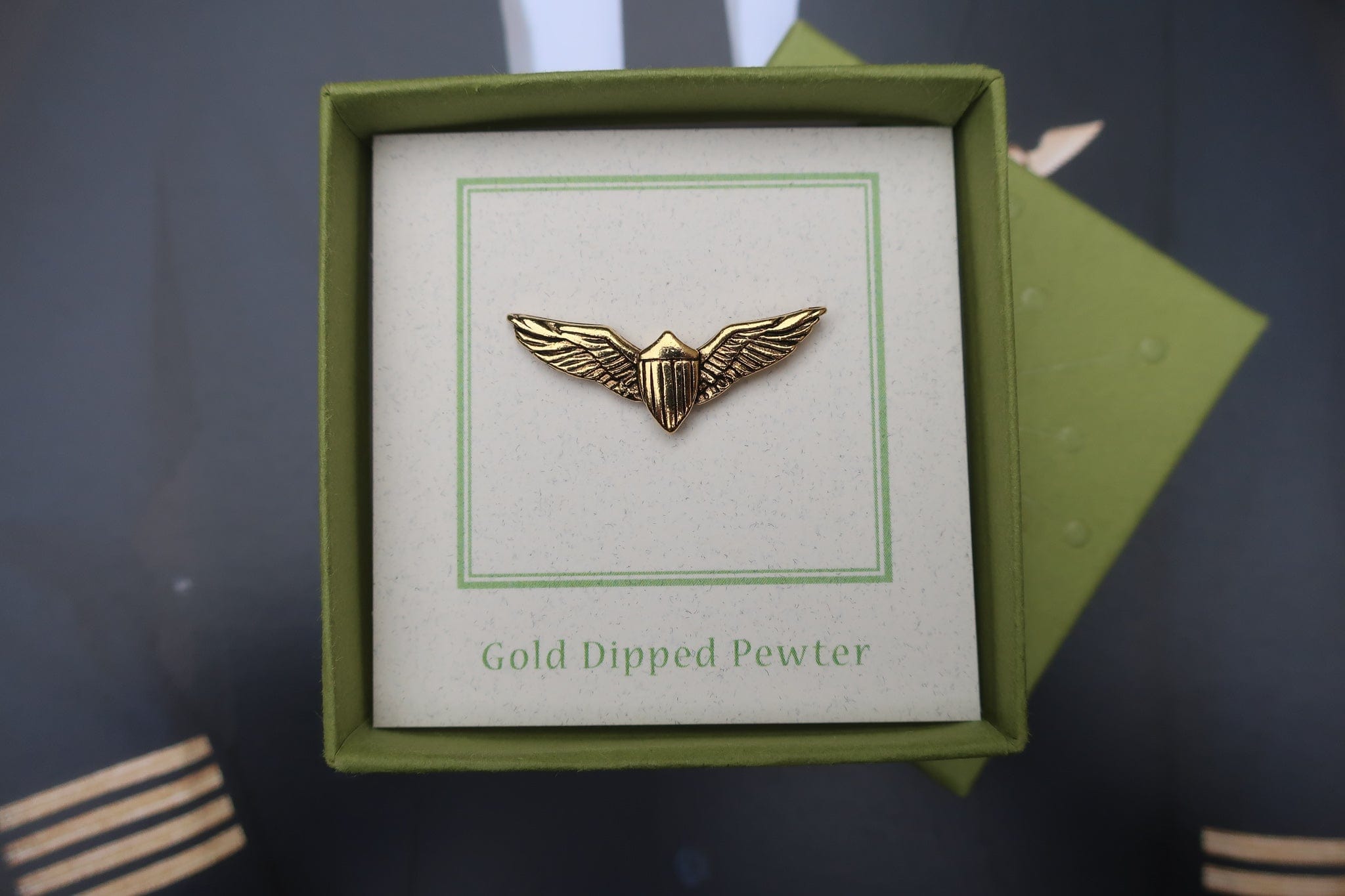 Pilot Wings Gold Lapel Pin – lapelpinplanet