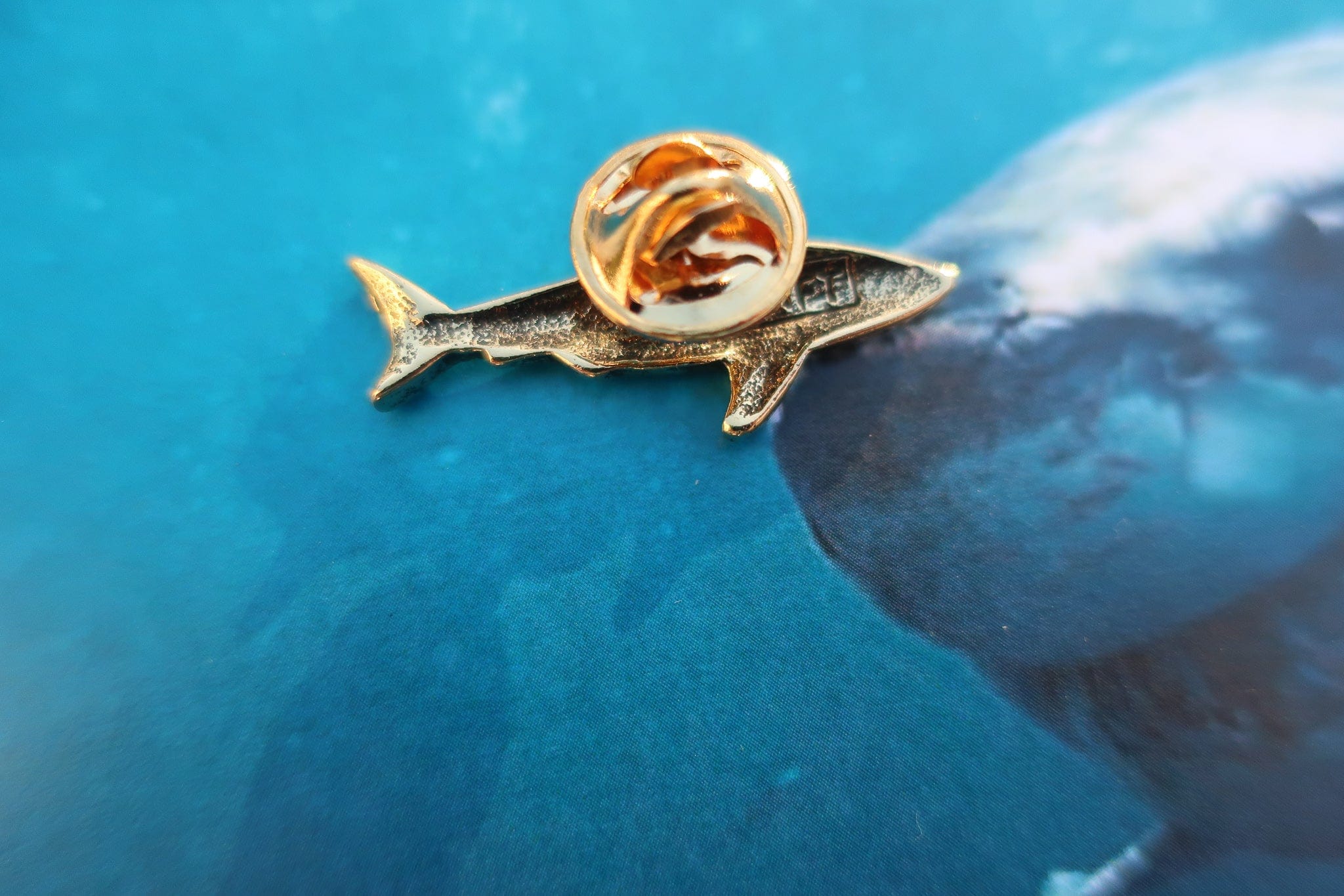 Shark Gold Lapel Pin – lapelpinplanet