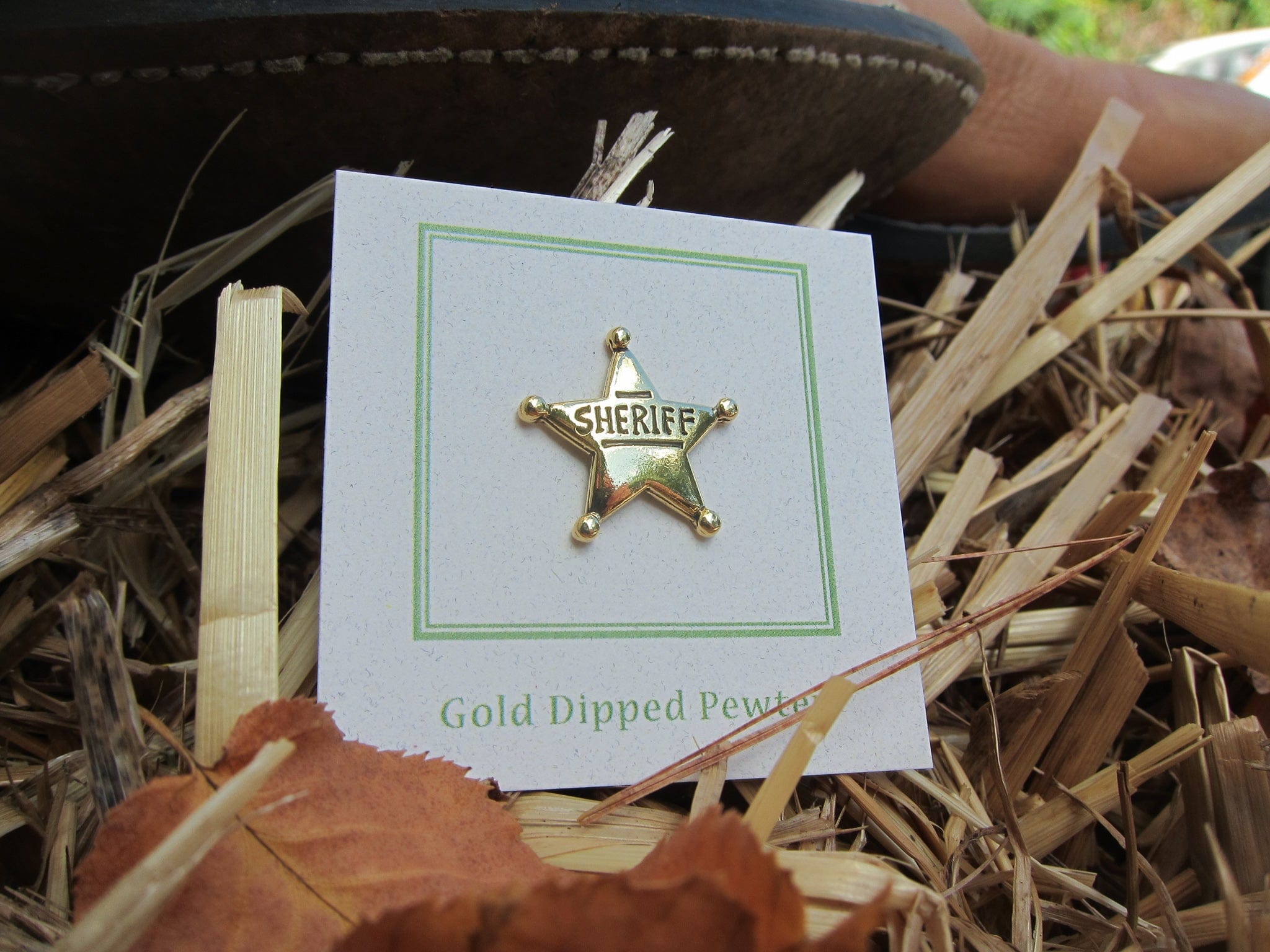 Sheriff Star Gold Lapel Pin – lapelpinplanet