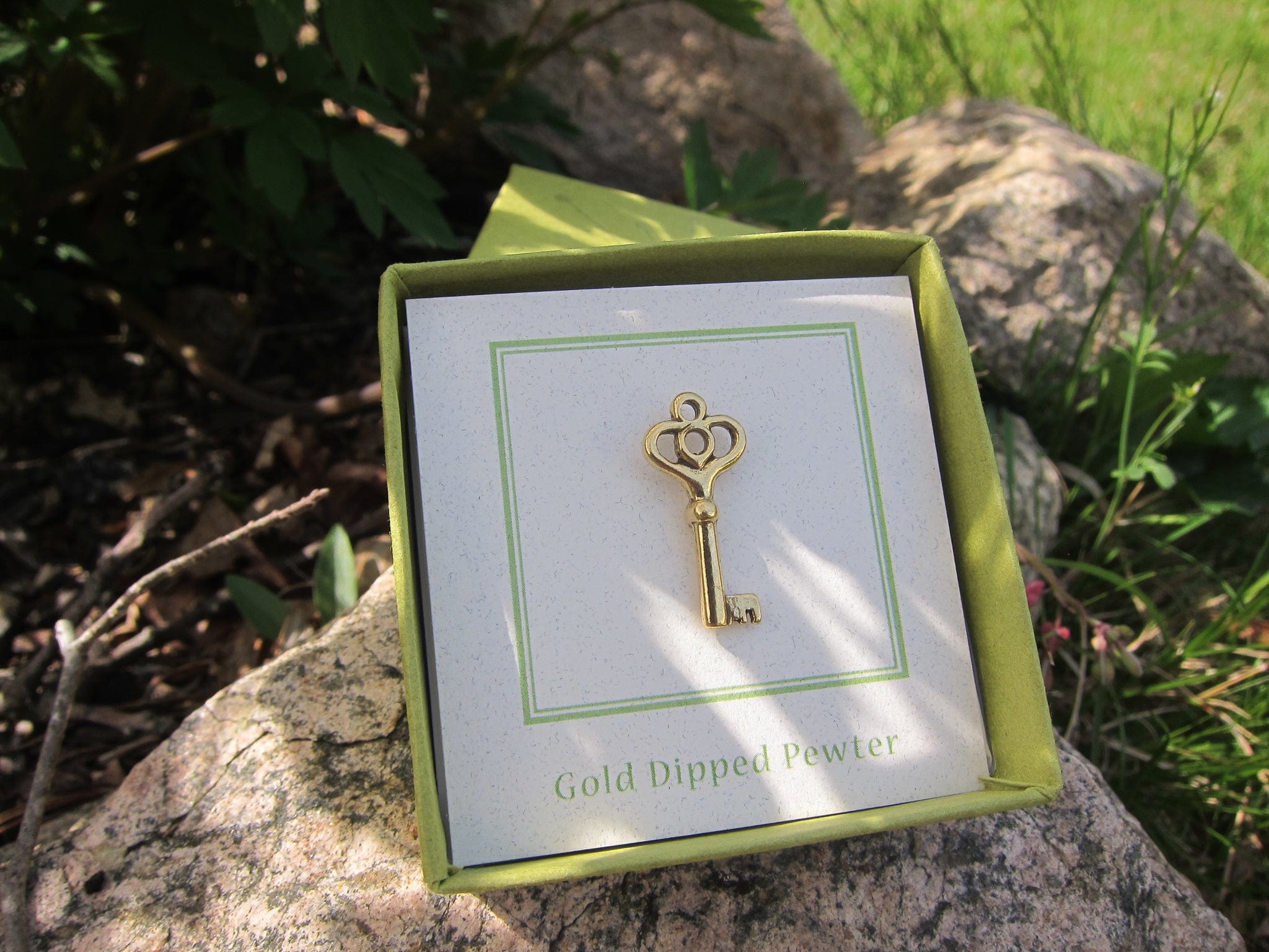 Skeleton Key Gold Lapel Pin – lapelpinplanet