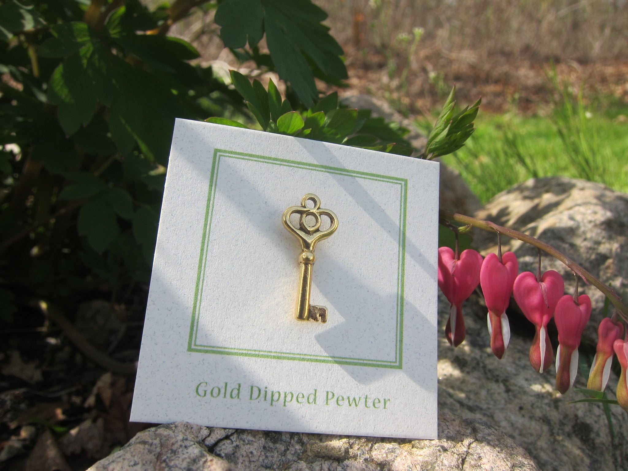 Skeleton Key Gold Lapel Pin – lapelpinplanet