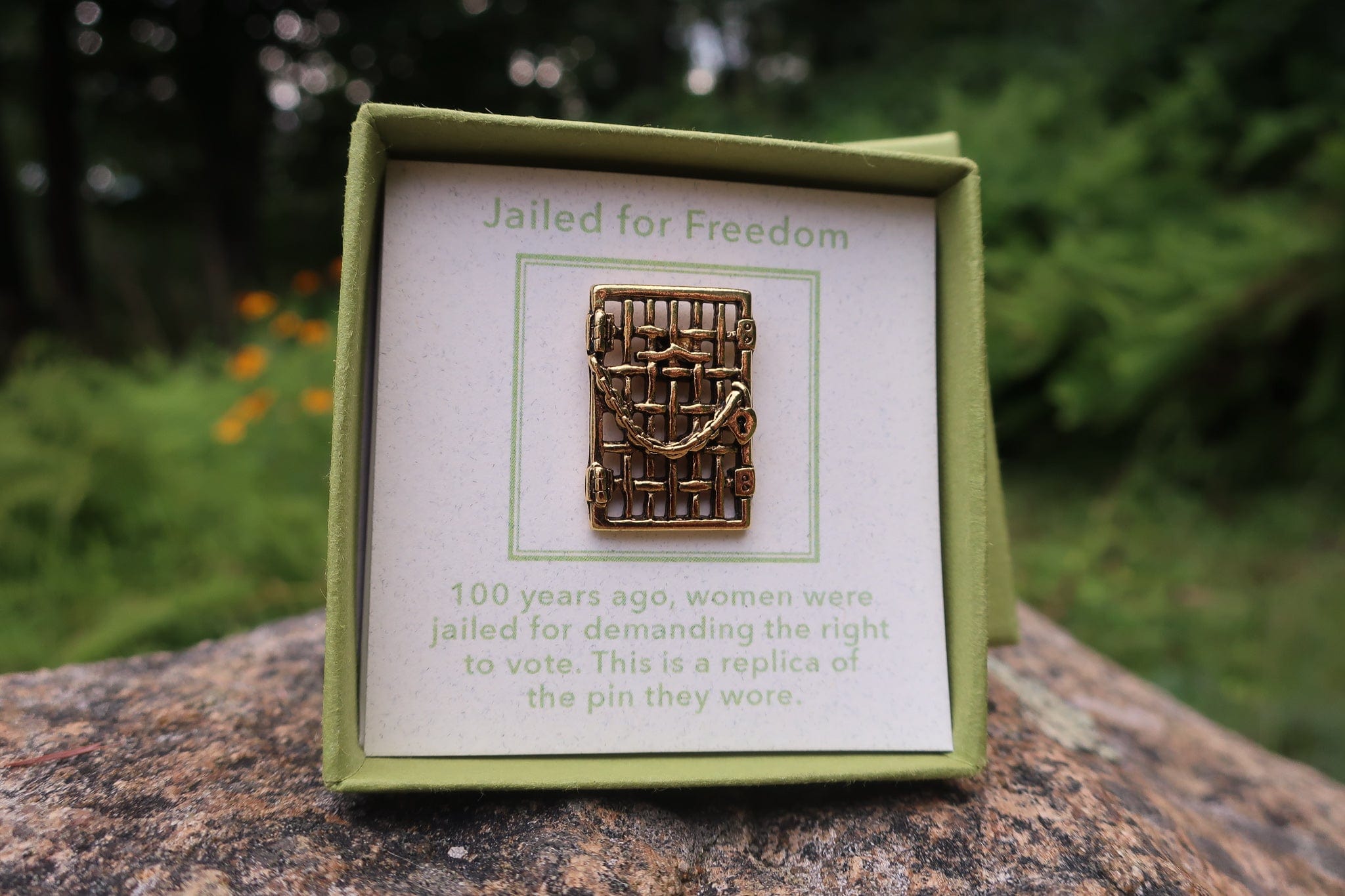 Suffragette Jail Door Gold Lapel Pin – lapelpinplanet