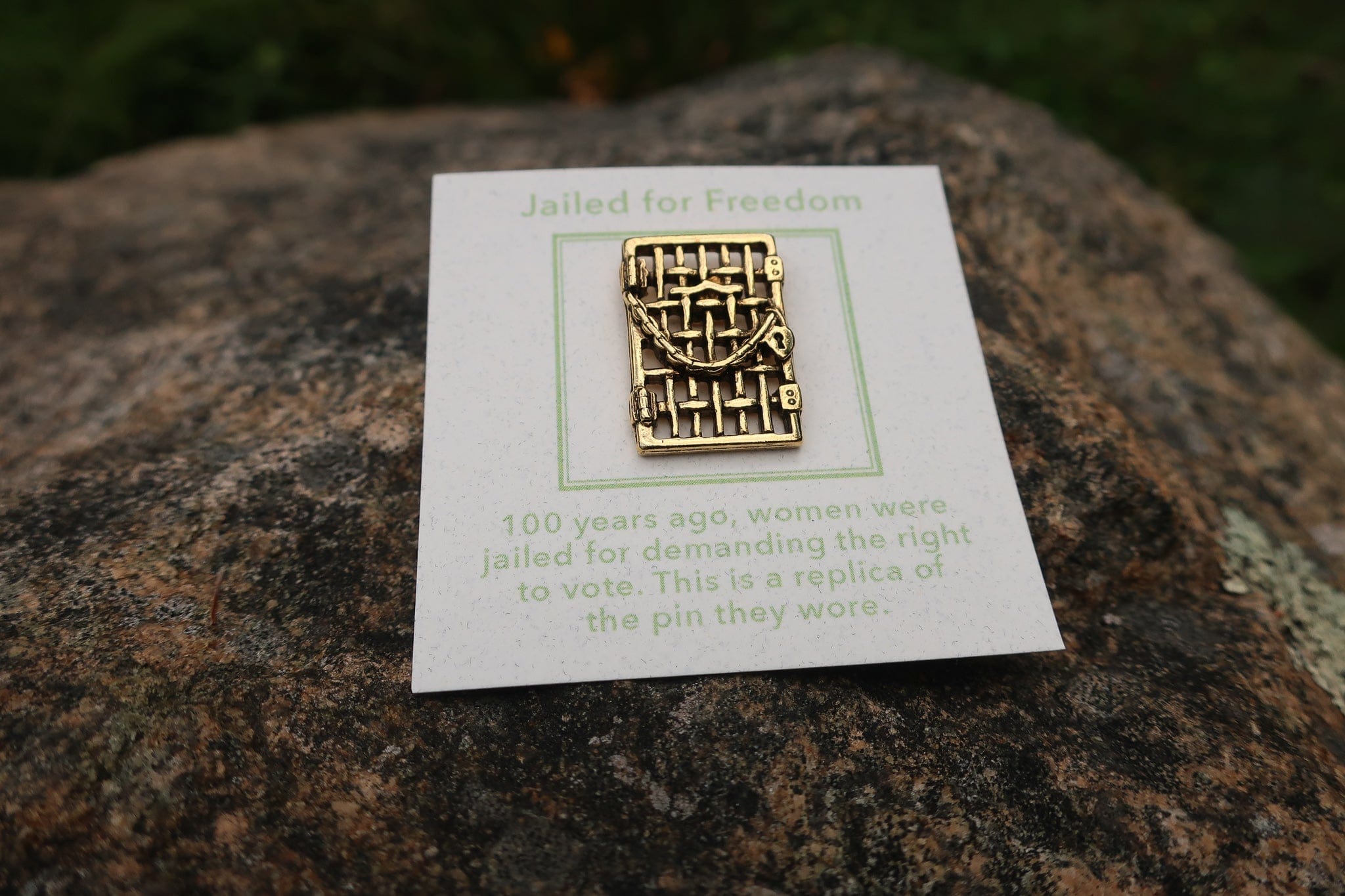 Suffragette Jail Door Gold Lapel Pin – lapelpinplanet