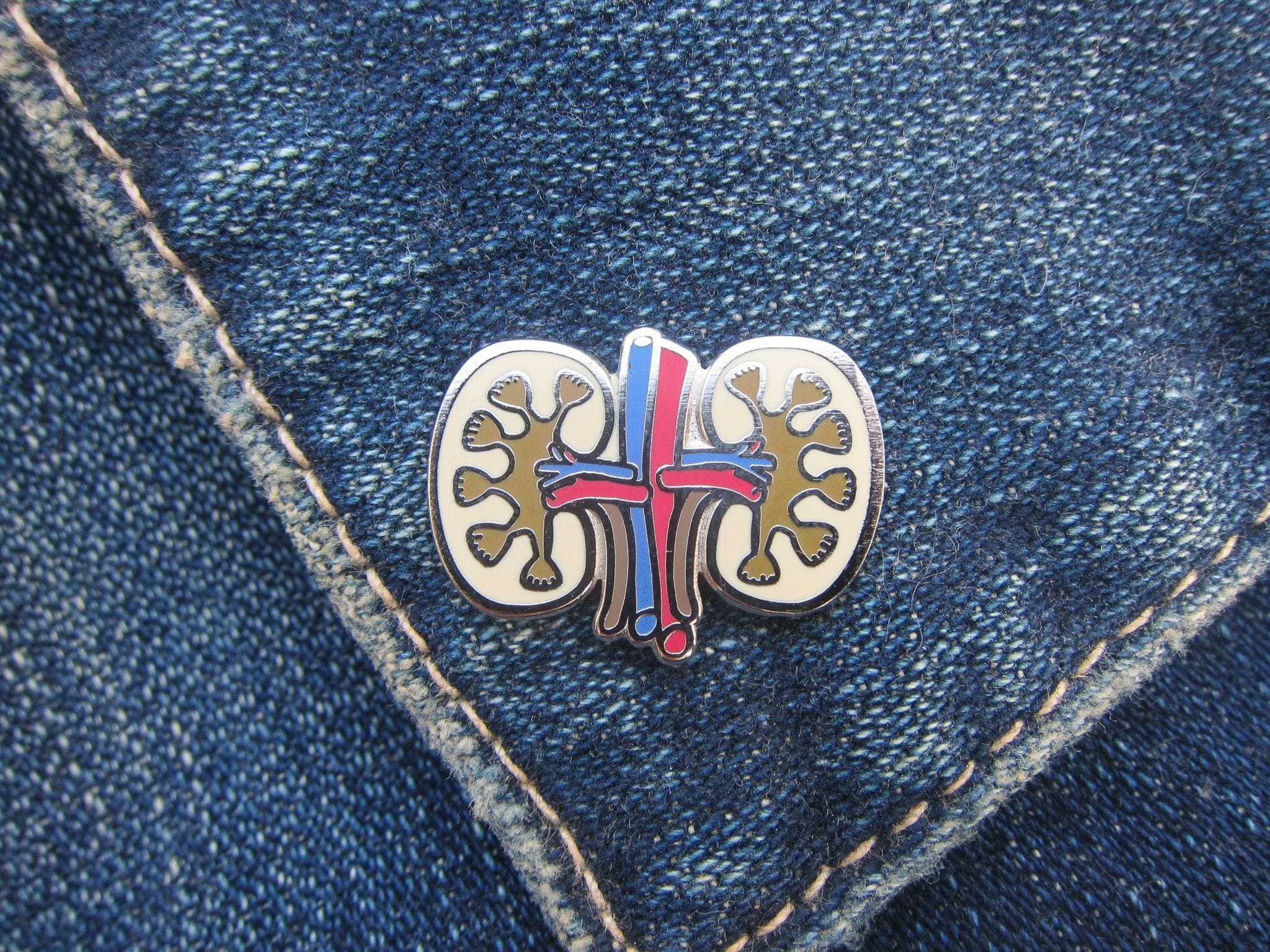 Kidneys Enamel Pin – lapelpinplanet