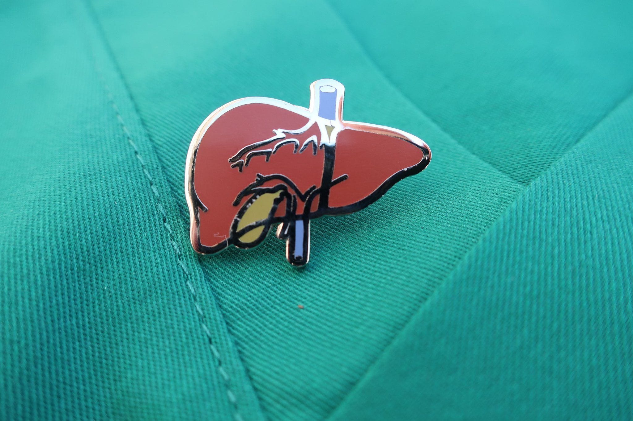 Liver Enamel Pin – lapelpinplanet