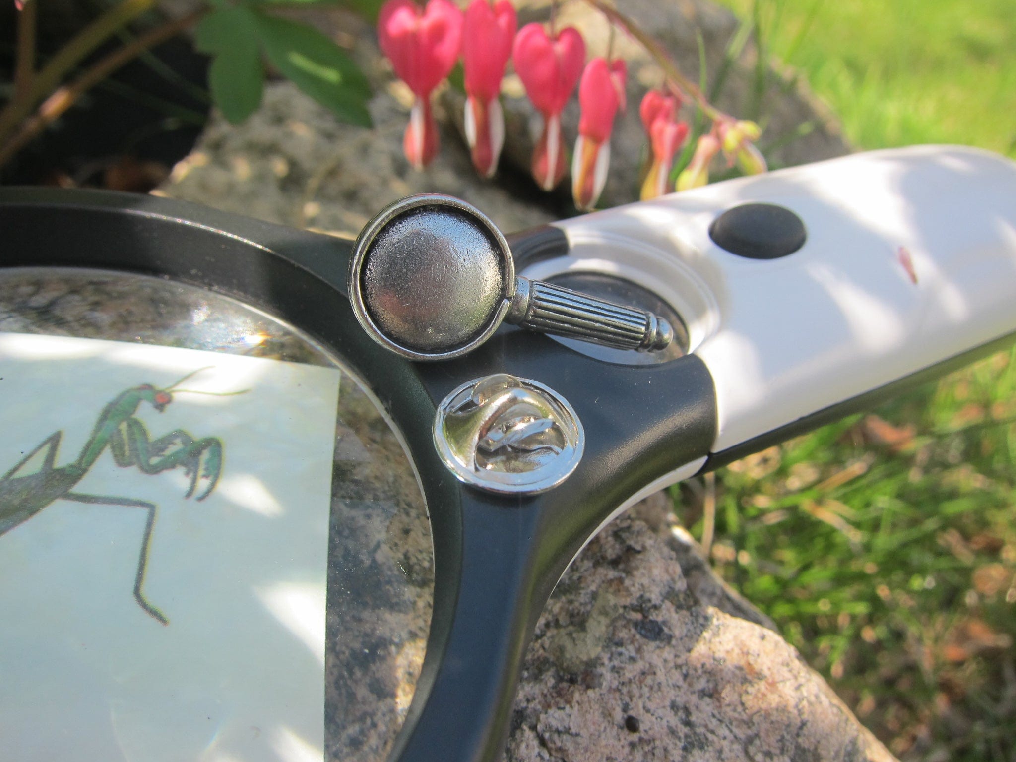 Magnifying Glass Lapel Pin – lapelpinplanet