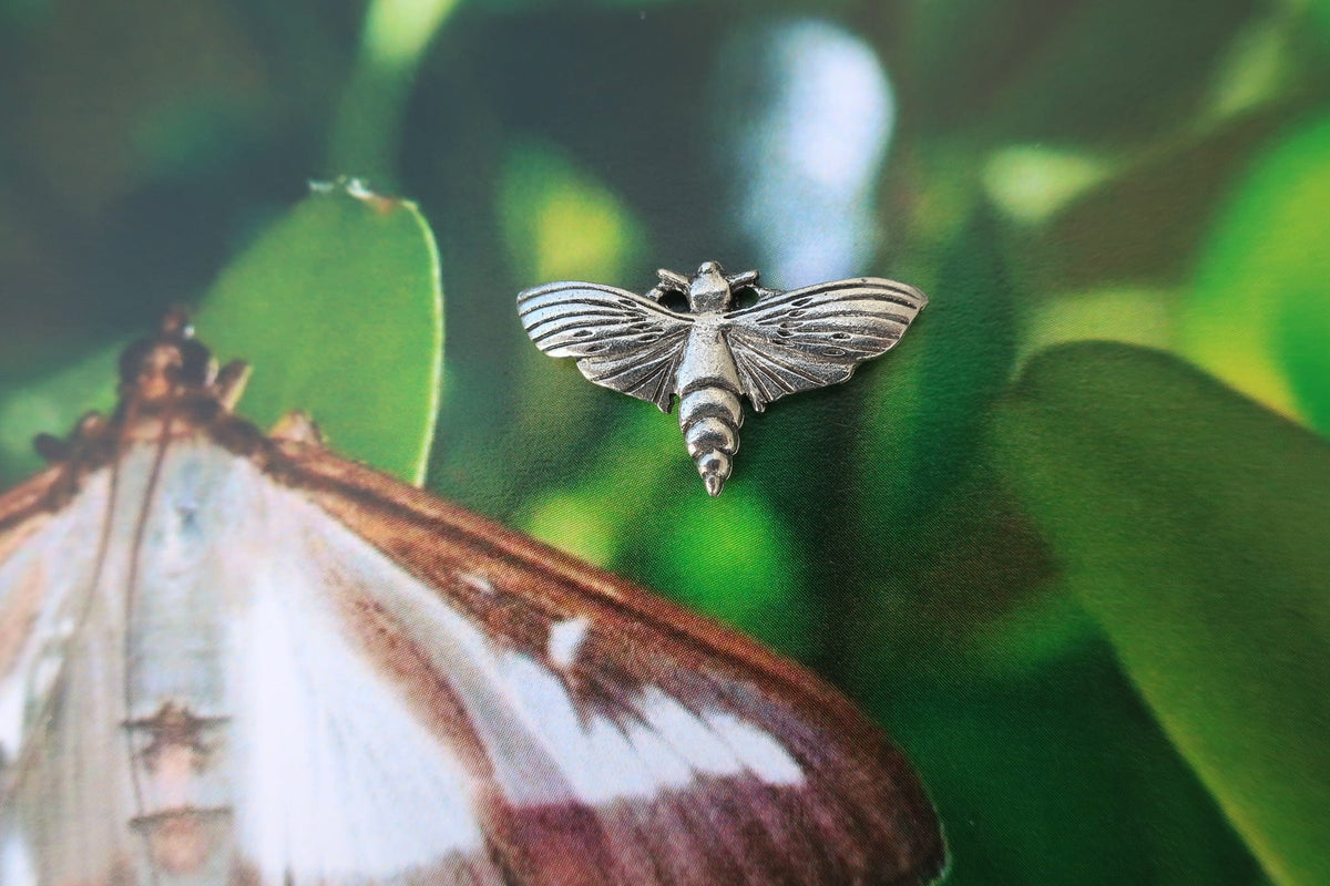 Moth Lapel Pins Collections – Lapel Pin Planet – lapelpinplanet