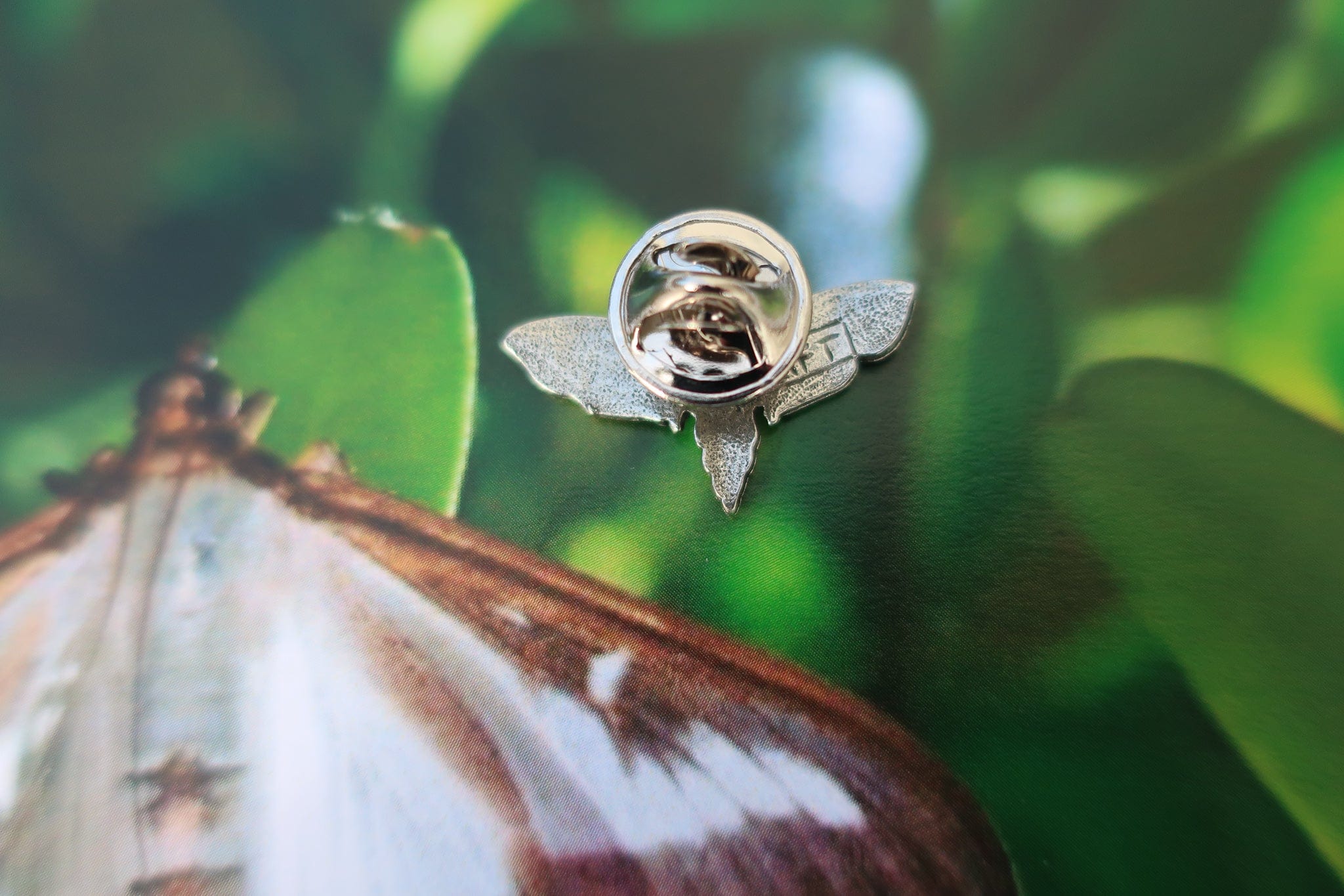 Moth Lapel Pins Collections – Lapel Pin Planet – lapelpinplanet