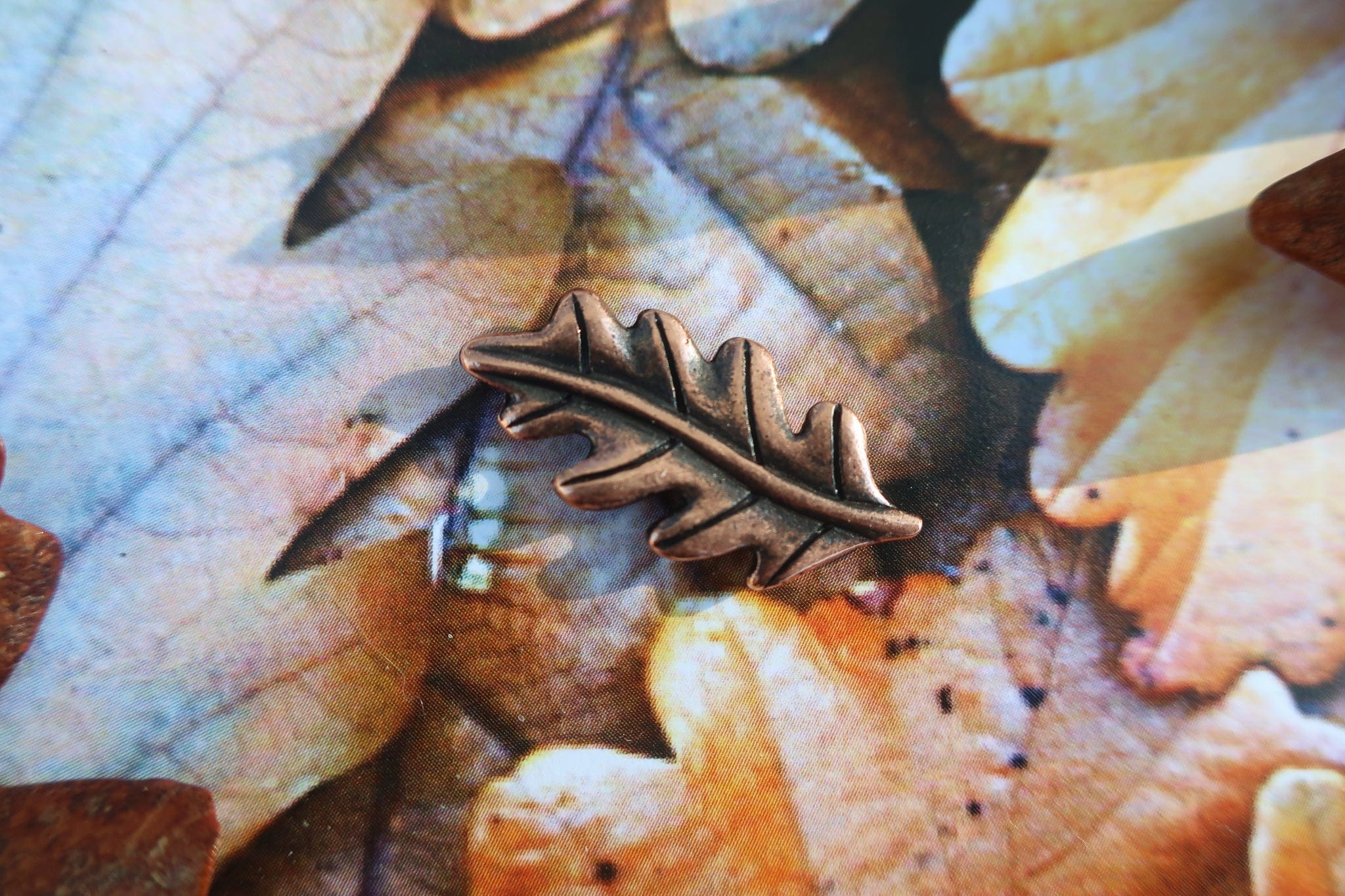 Oak Leaf Copper Lapel Pin – lapelpinplanet