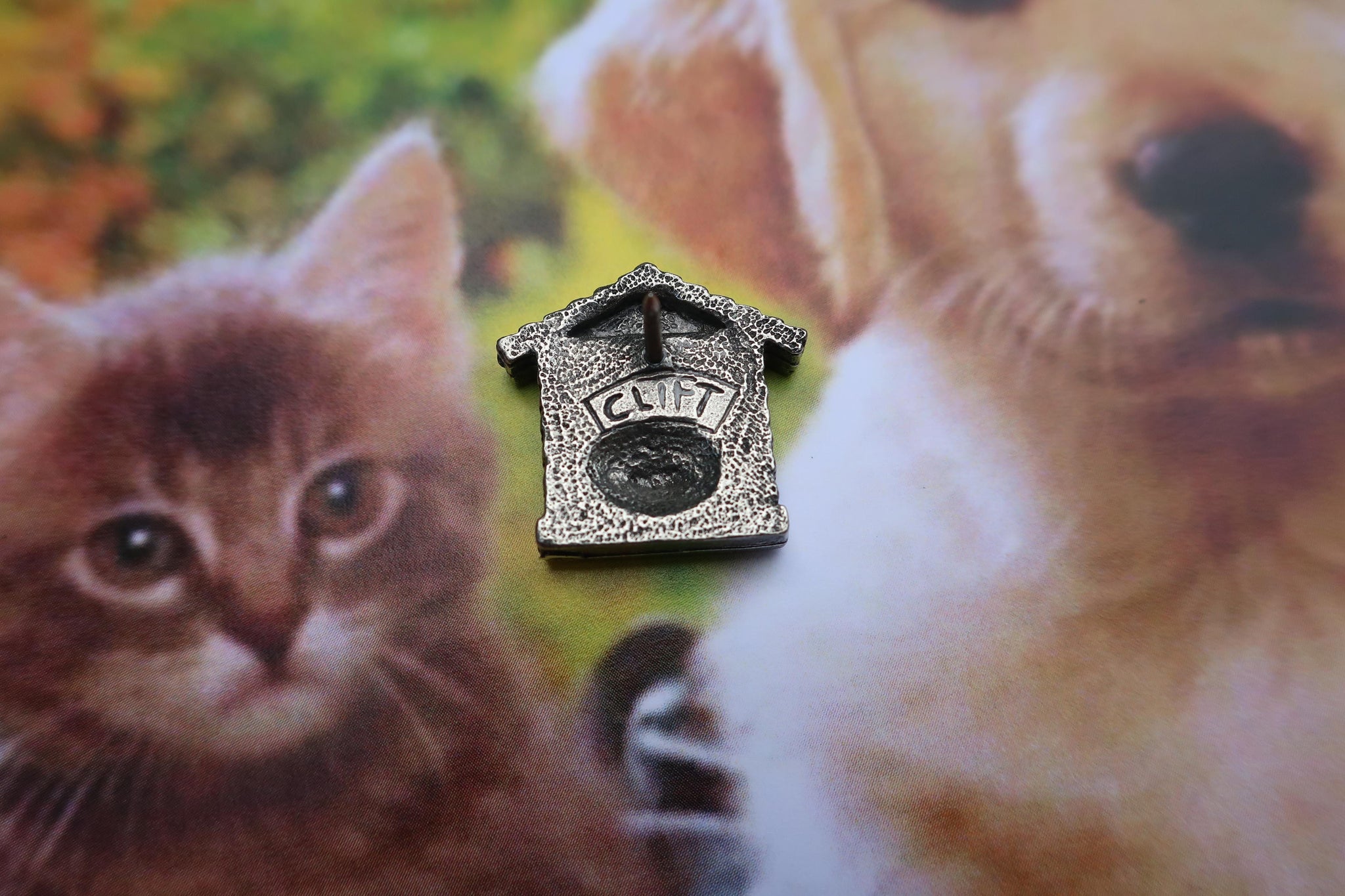Pet Rescue Lapel Pin – lapelpinplanet