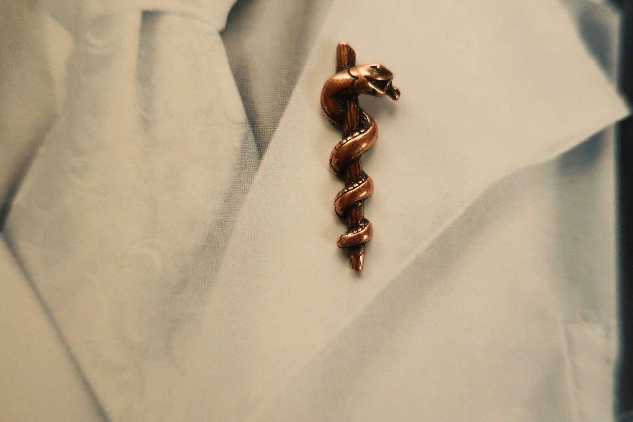 The Rod of Asclepius Copper Lapel Pin - Lapel Pin Planet – lapelpinplanet