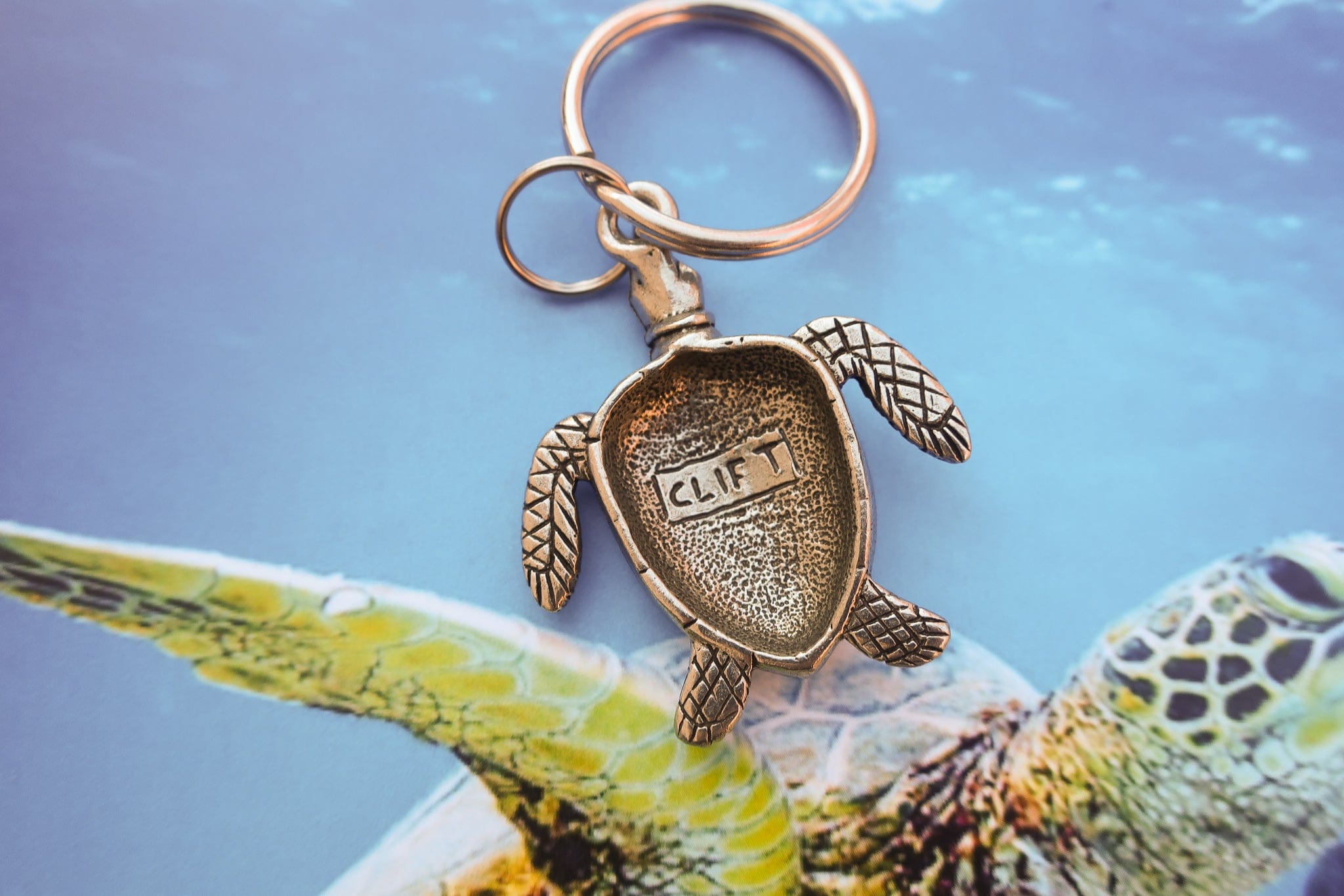 Sea Turtle Keyrings – lapelpinplanet