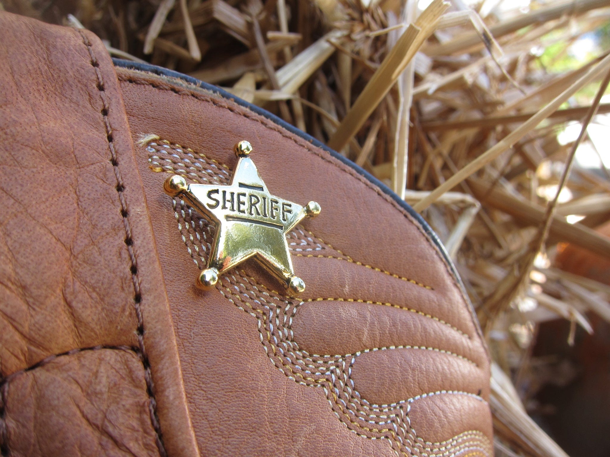 Sheriff Star Gold Lapel Pin – lapelpinplanet