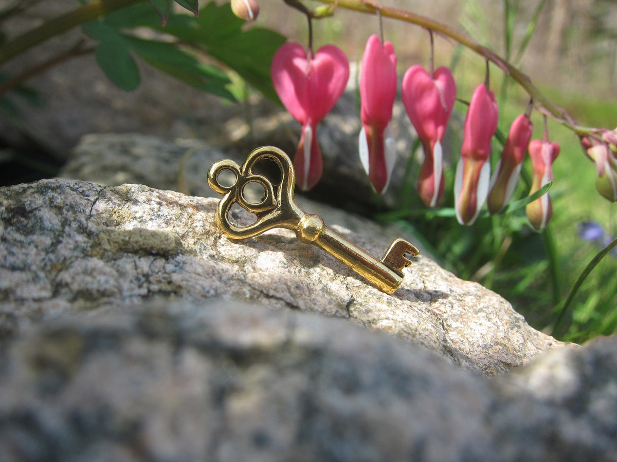 Skeleton Key Gold Lapel Pin – lapelpinplanet