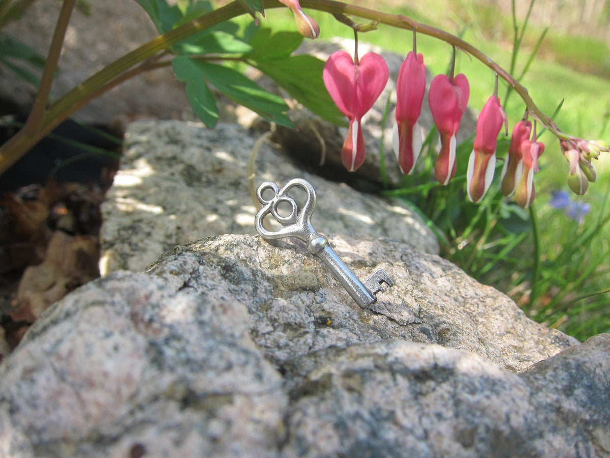 Skeleton Key Lapel Pin Collection – Lapel Pin Planet – lapelpinplanet