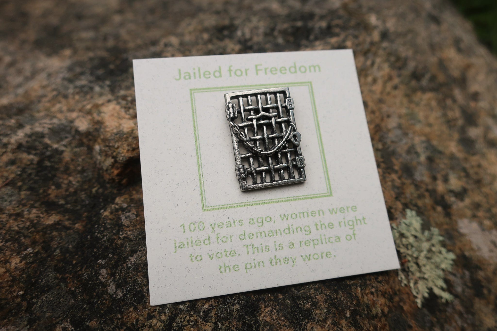 Suffragette Jail Door Lapel Pin – lapelpinplanet