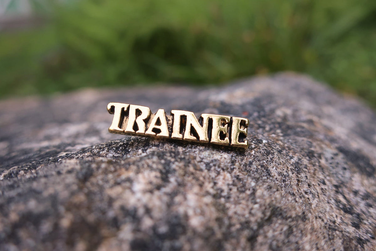 Trainee Gold Lapel Pin – lapelpinplanet